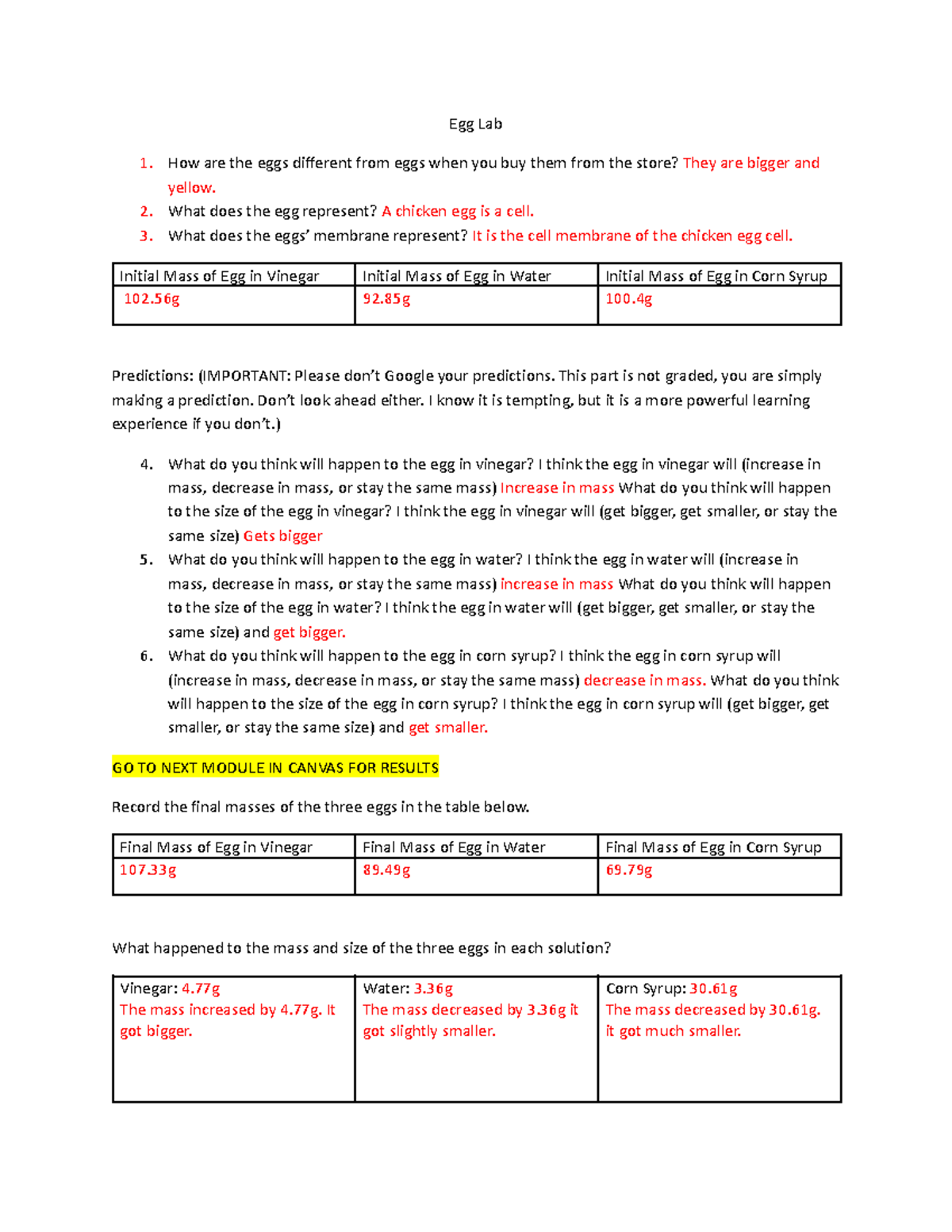 Egg Lab - Virtual - Egg Lab How are the eggs different from eggs when ...
