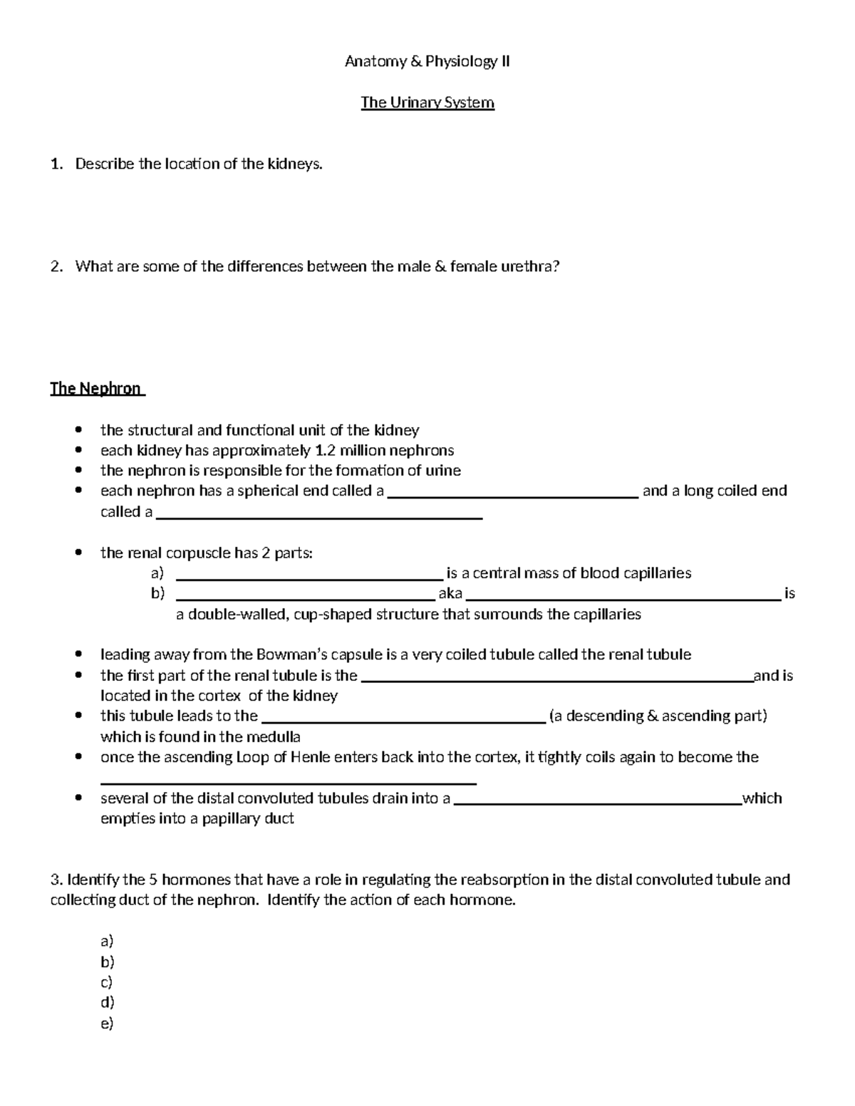 Lab- Urinary - ANATOMY AND PHYSIOLOGY - Anatomy & Physiology II The ...
