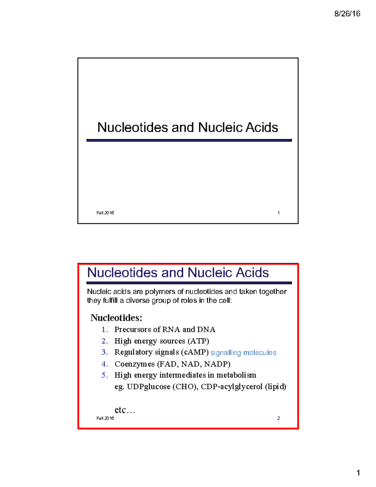 Biochemistry I Section 6 Nucleotides Nucleic Acids 16 - Nucleotides and ...