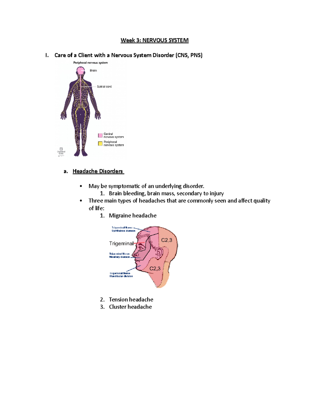NUR 170 Week 3, Nervous System - Week 3: NERVOUS SYSTEM I. Care of a ...