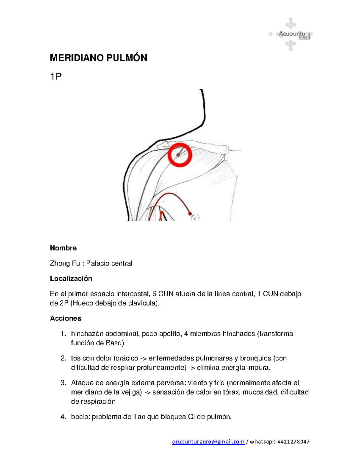 Meridiano Pulmón - Medicina tradicional china - MERIDIANO PULMÓN 1P ...