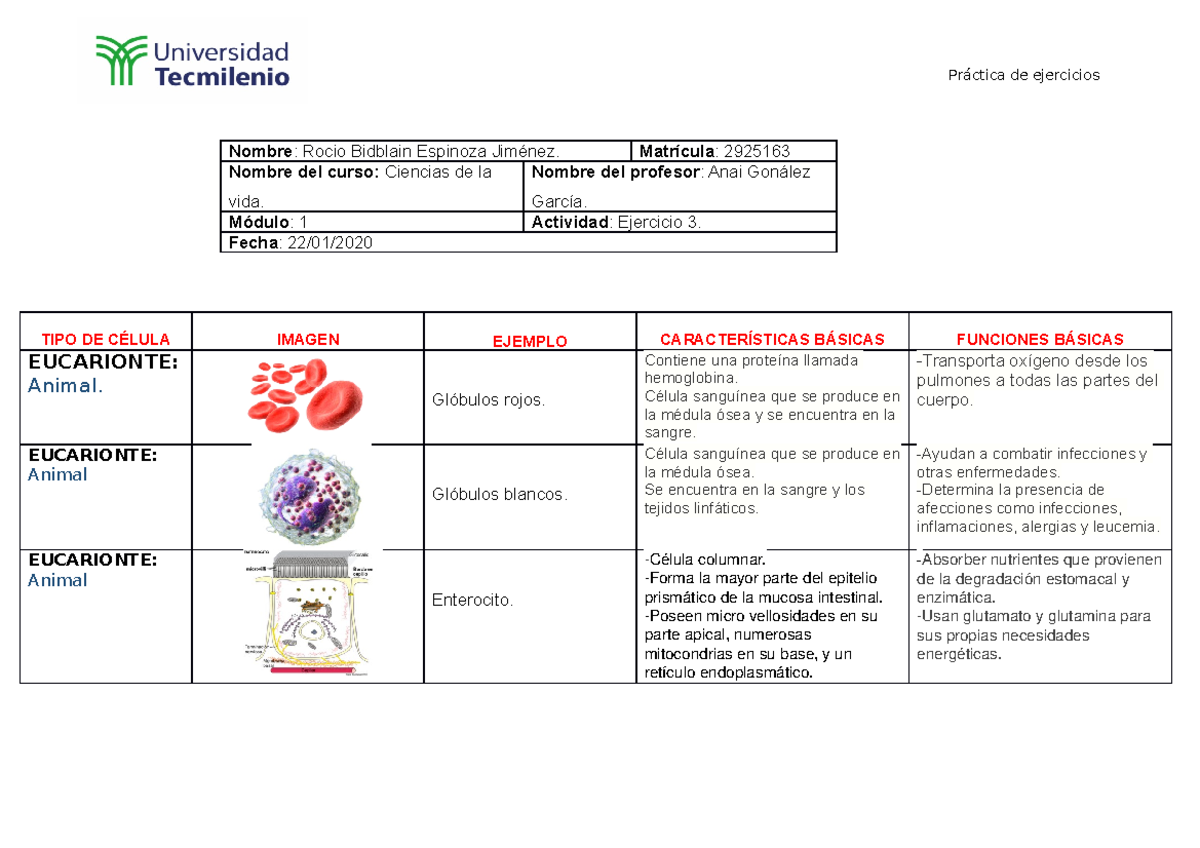 Ejercicio 3. Ciencias de la vida - Nombre: Rocio Bidblain Espinoza ...