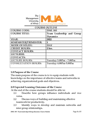 WBA Teamleadership AND Group Dynamics ODEL - TEAMLEADERSHIP AND GROUP ...