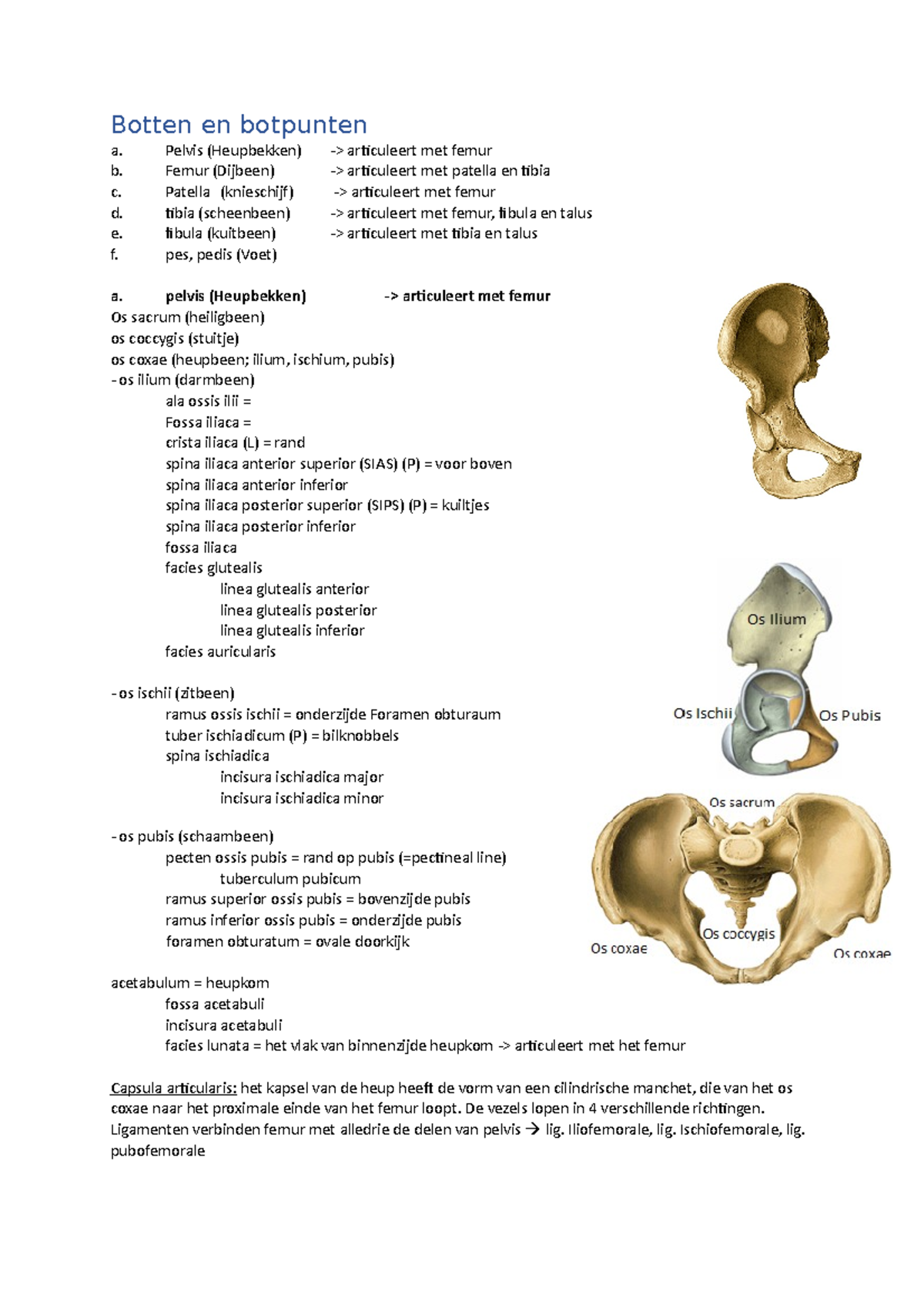 Nomenclatuur Botten en botpunten - Botten en botpunten a. b. c. d. e. f ...
