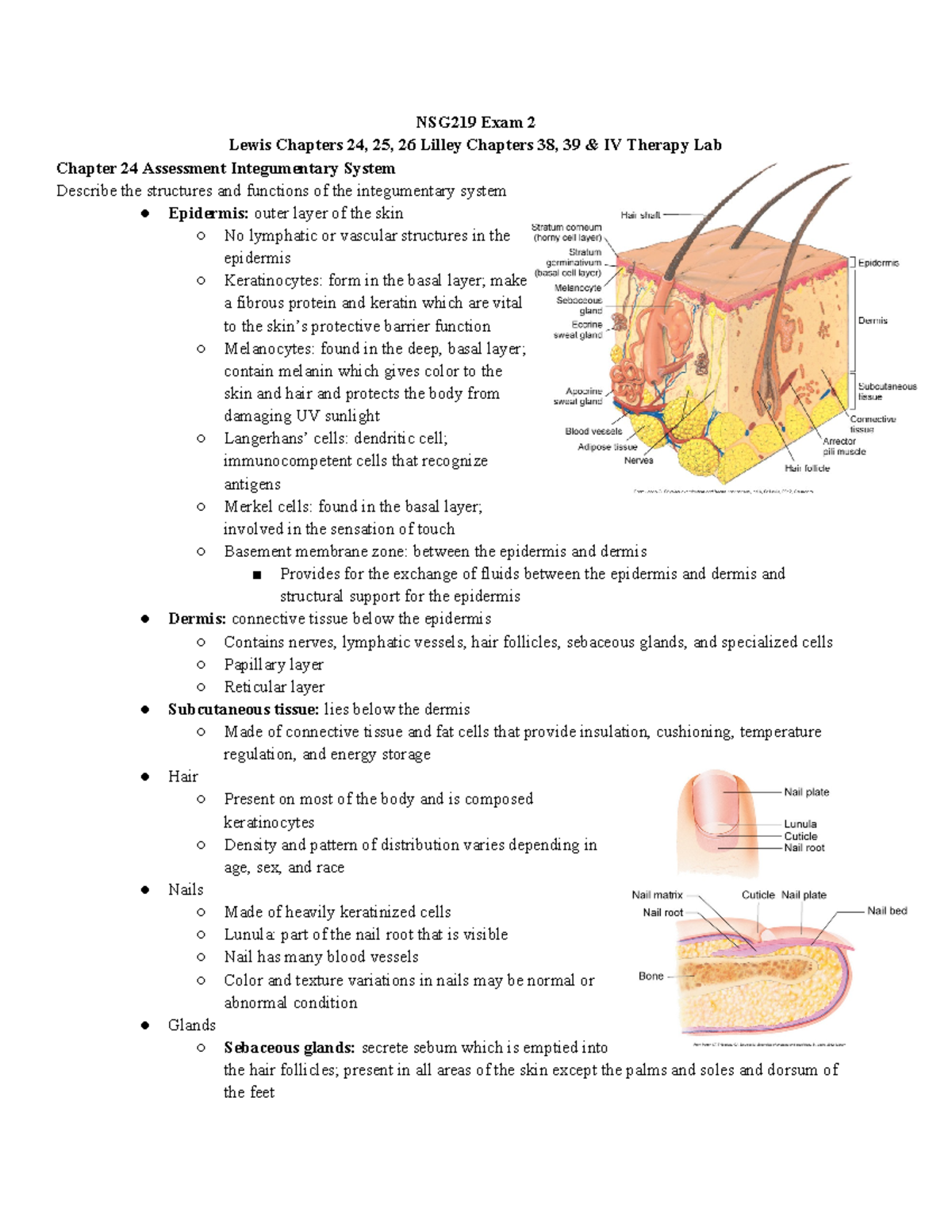 NSG219 Exam 2 Study Guide - Integumentary System, Integumentary ...