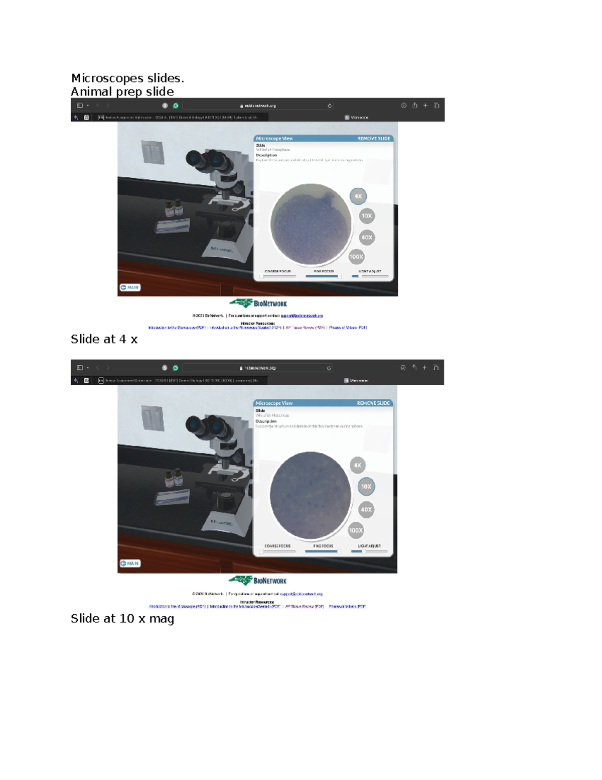 Microscopes slides - asynchronous class assignment. - BIO 11 ...
