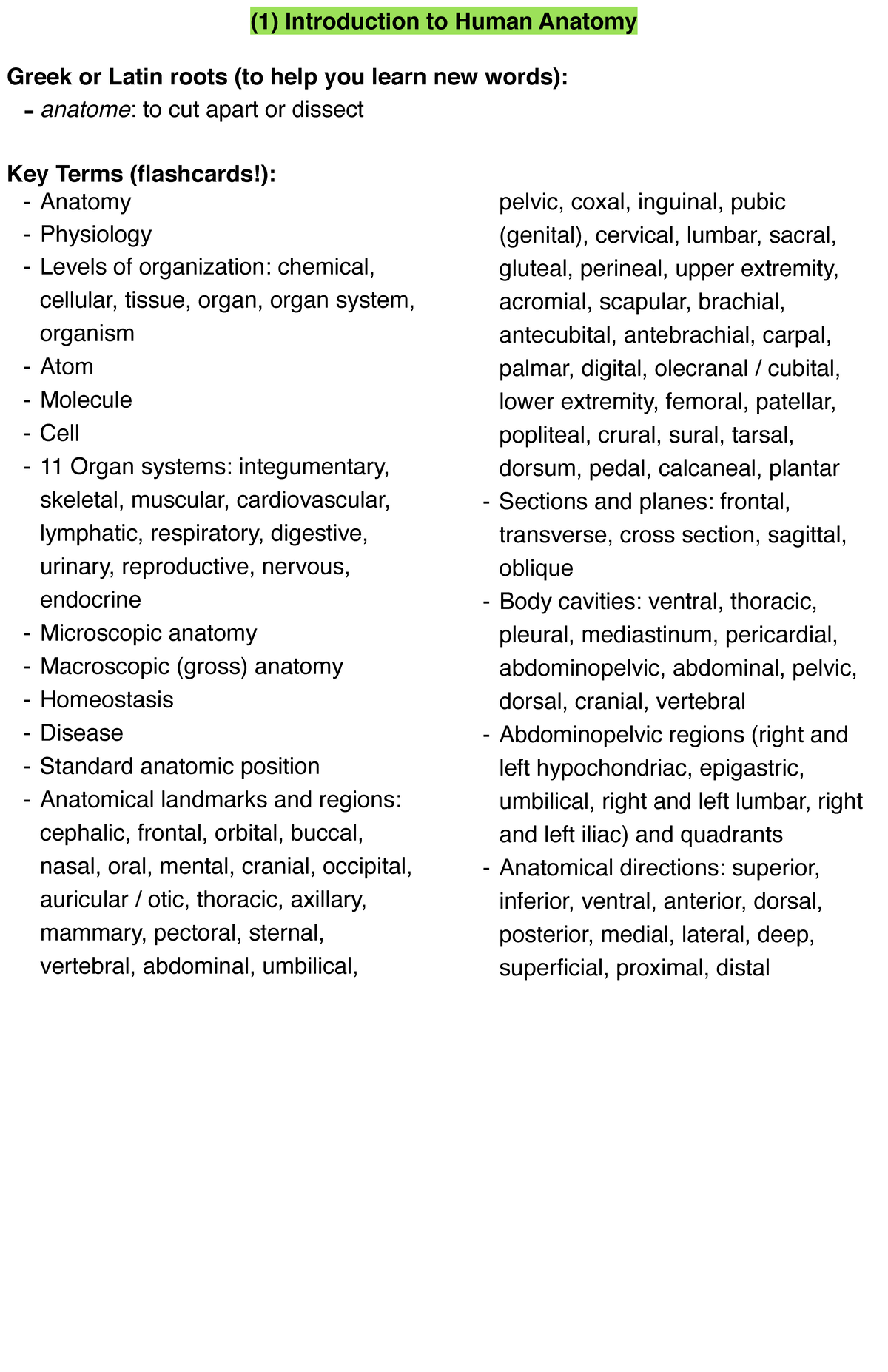 1. Introduction to Human Anatomy - (1) Introduction to Human Anatomy ...