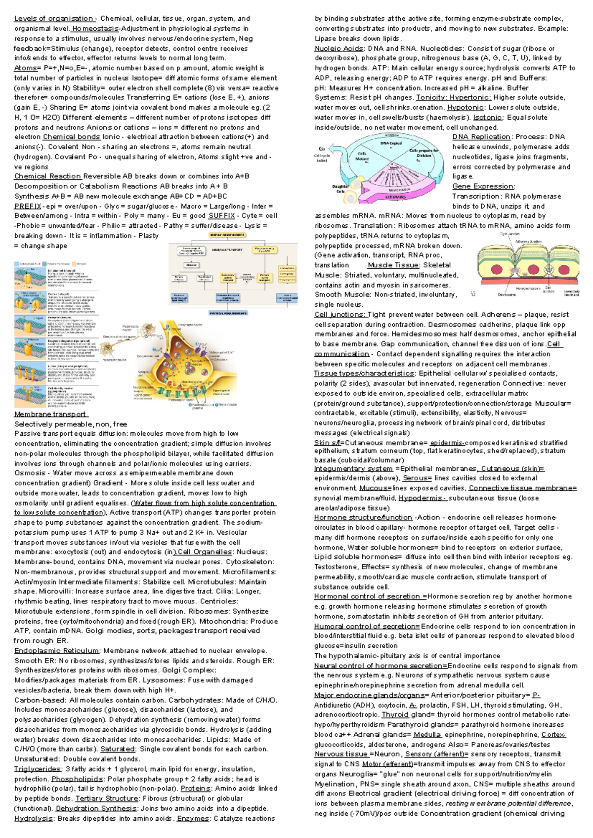 HUB1403 cheat sheet - STUDY - Levels of organisation - Chemical ...