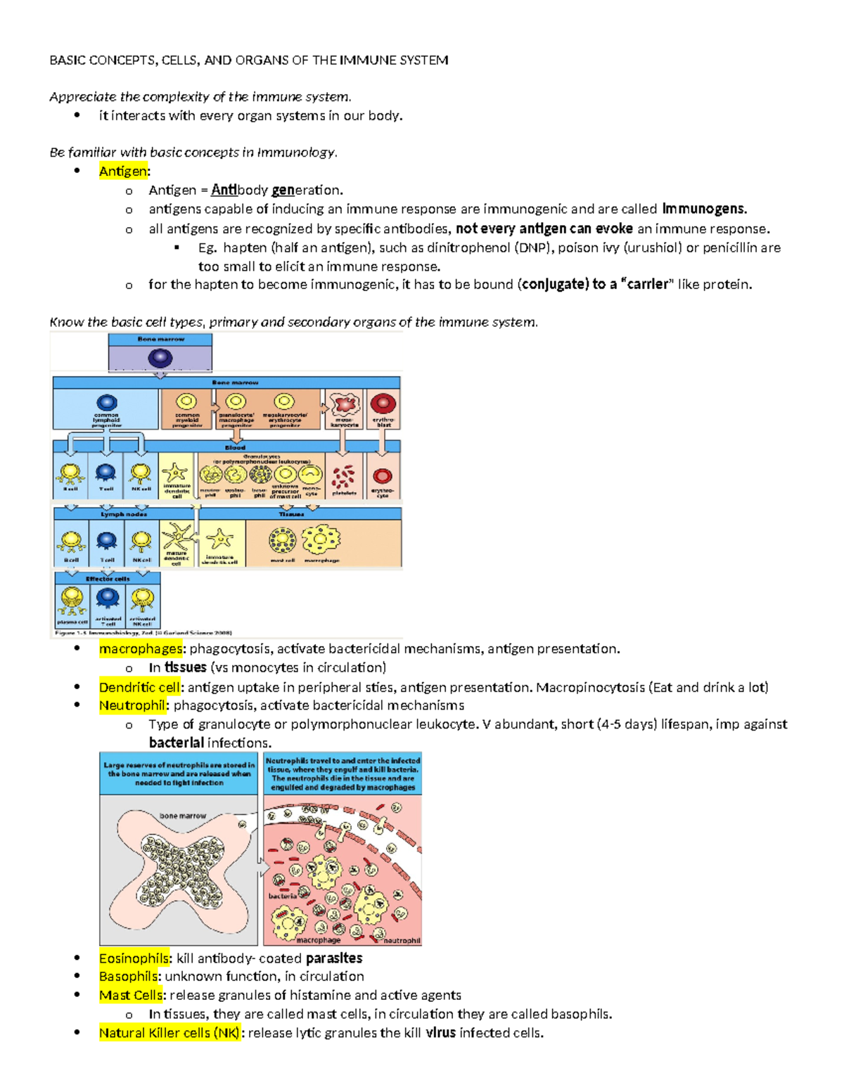 Immunology - BASIC CONCEPTS, CELLS, AND ORGANS OF THE IMMUNE SYSTEM ...