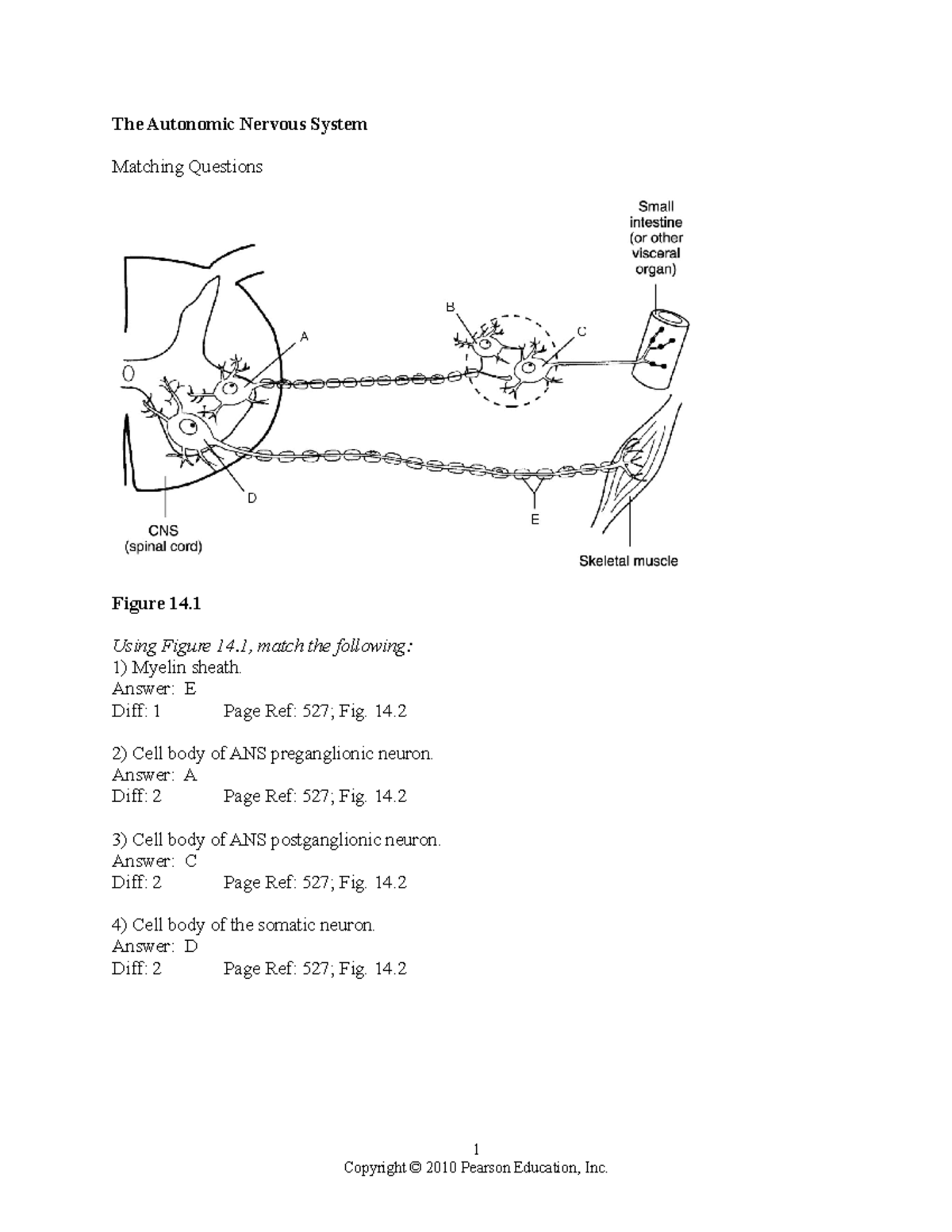 ANS - 2018 tri 1 - The Autonomic Nervous System Matching Questions ...
