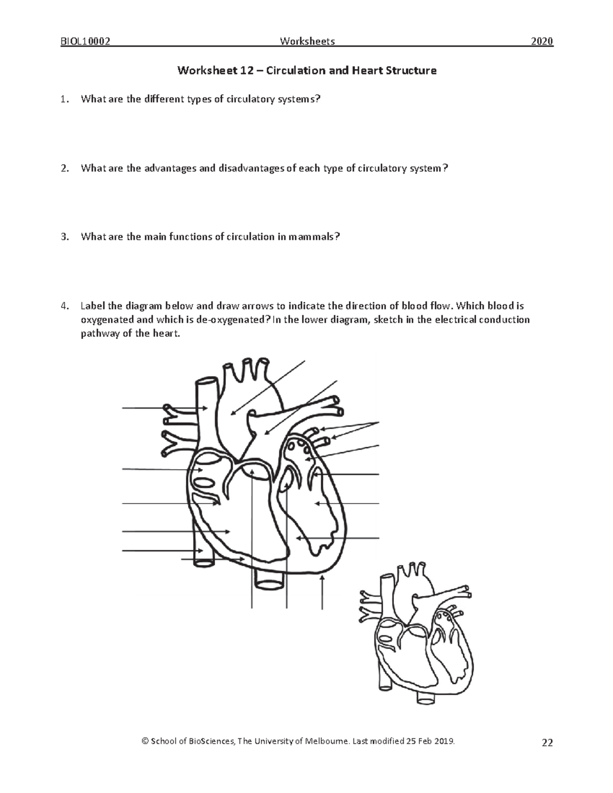 Worksheet 12 Circulation and Heart Structure - Warning: TT: undefined ...