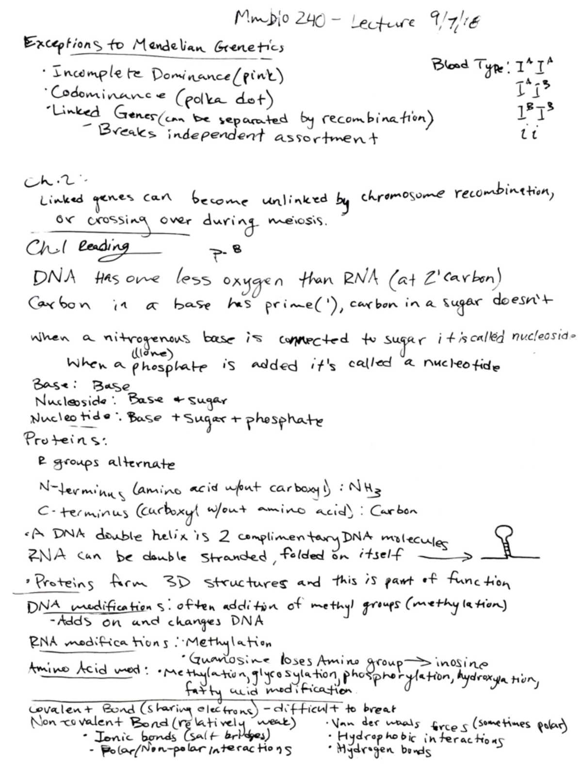 Lecture 9/7 Mendelian Genetics ; Ch. l2 - Mmbio 240 - Lecture 9/1 ...