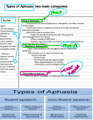 Introduction TO CASD 4 - CASD notes - • Lifespan Issues • Most victims ...