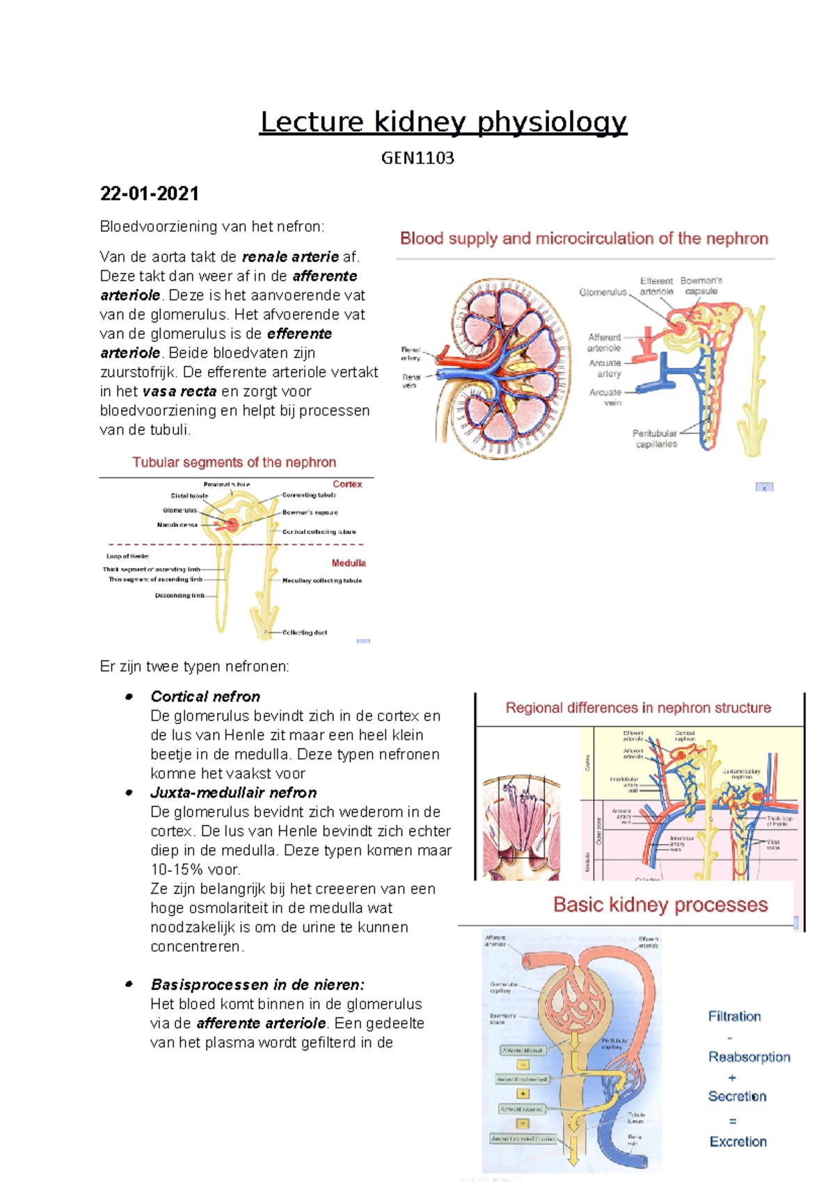 Lecture kidney physiology GEN1103 - Lecture kidney physiology GEN 22-01 ...
