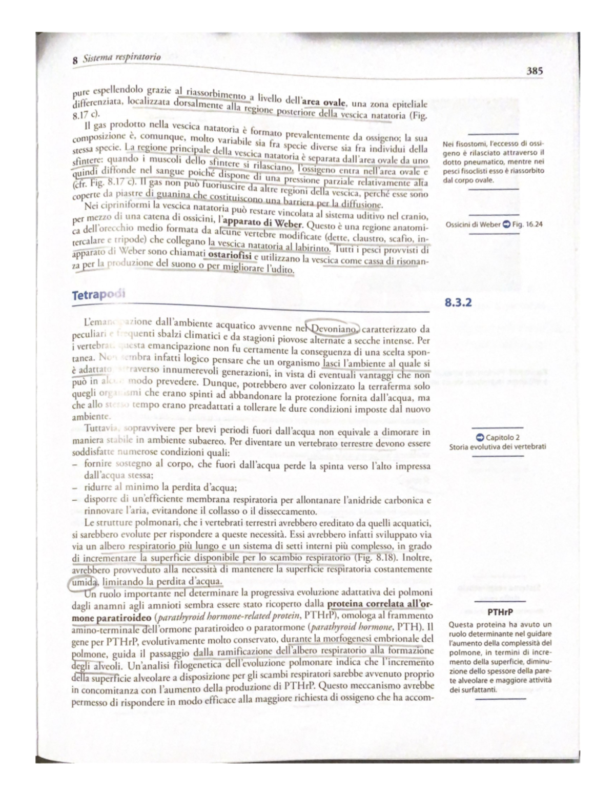 Documenti scansionati 3 - Chimica organica - Studocu