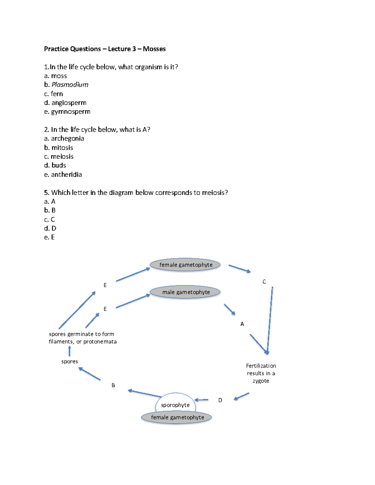 Practice Questions - Lecture 3 – Mosses Output - Practice Questions ...