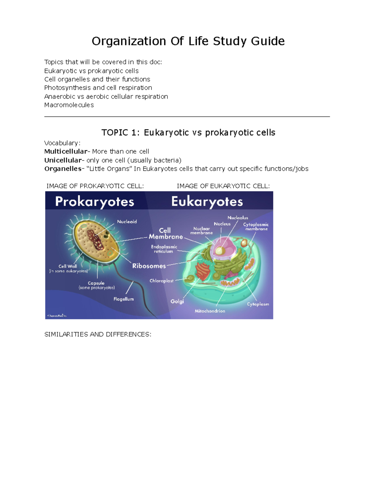 Organization Of Life Study Guide- BIOLOGY - Organization Of Life Study ...
