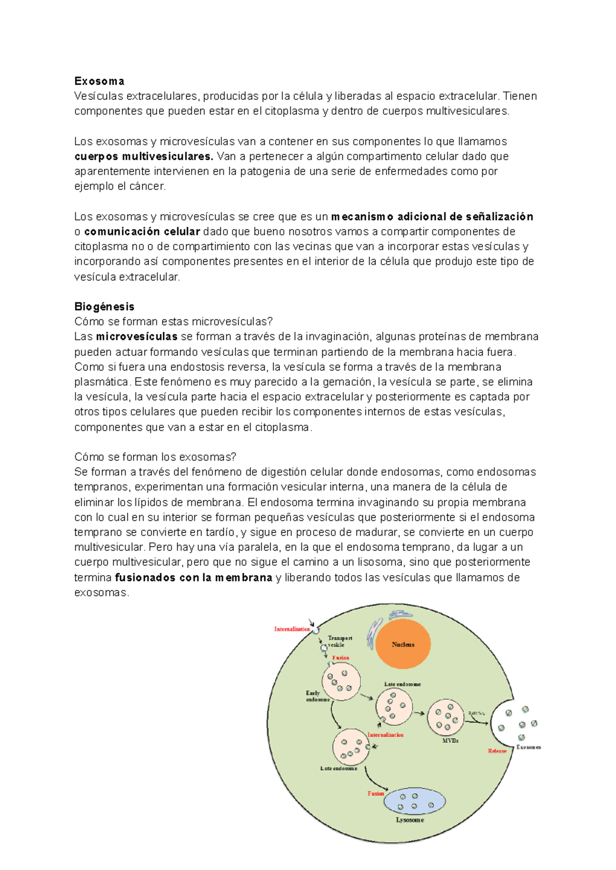 Exosomas y microvesiculas - Exosoma Vesículas extracelulares ...