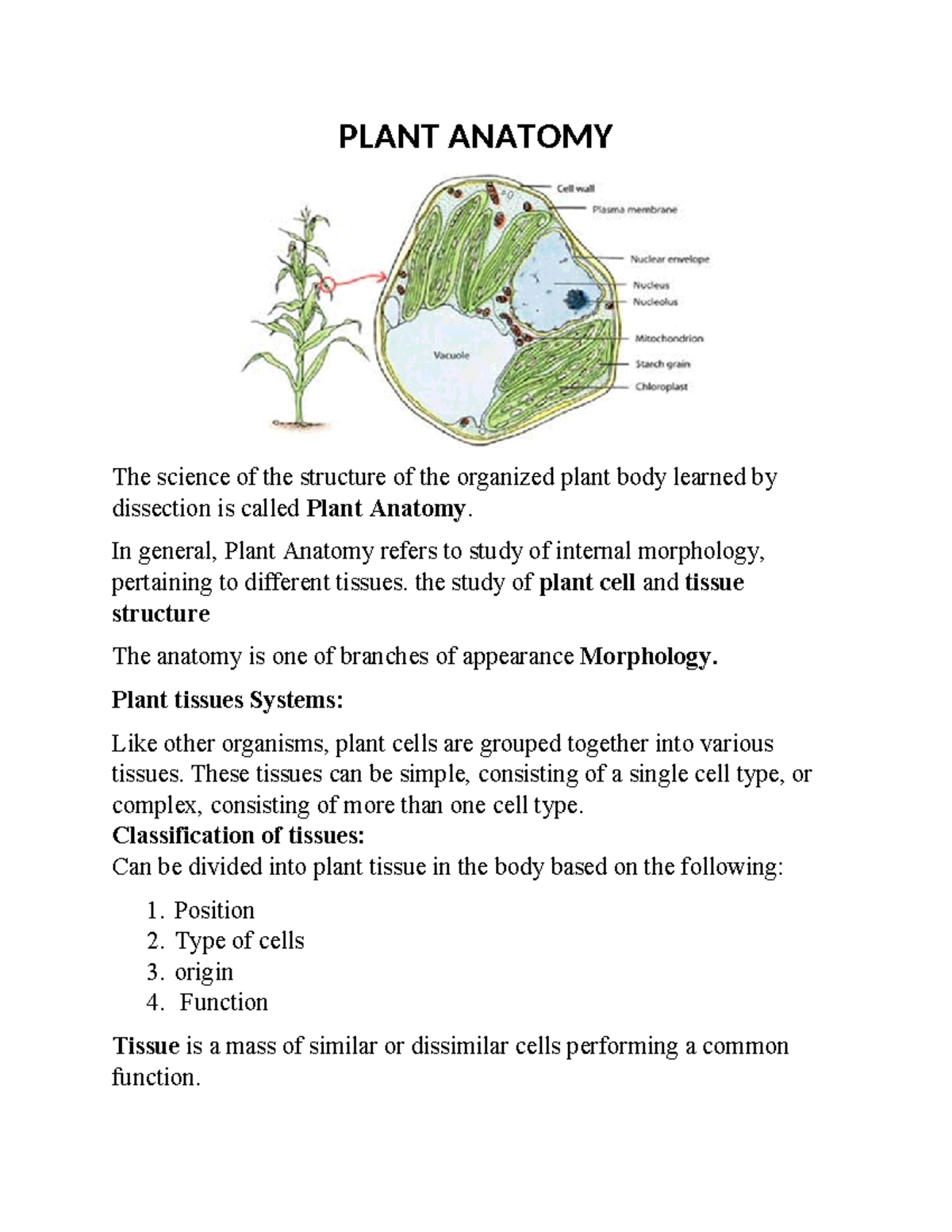 Plant Anatomy - In general, Plant Anatomy refers to study of internal ...