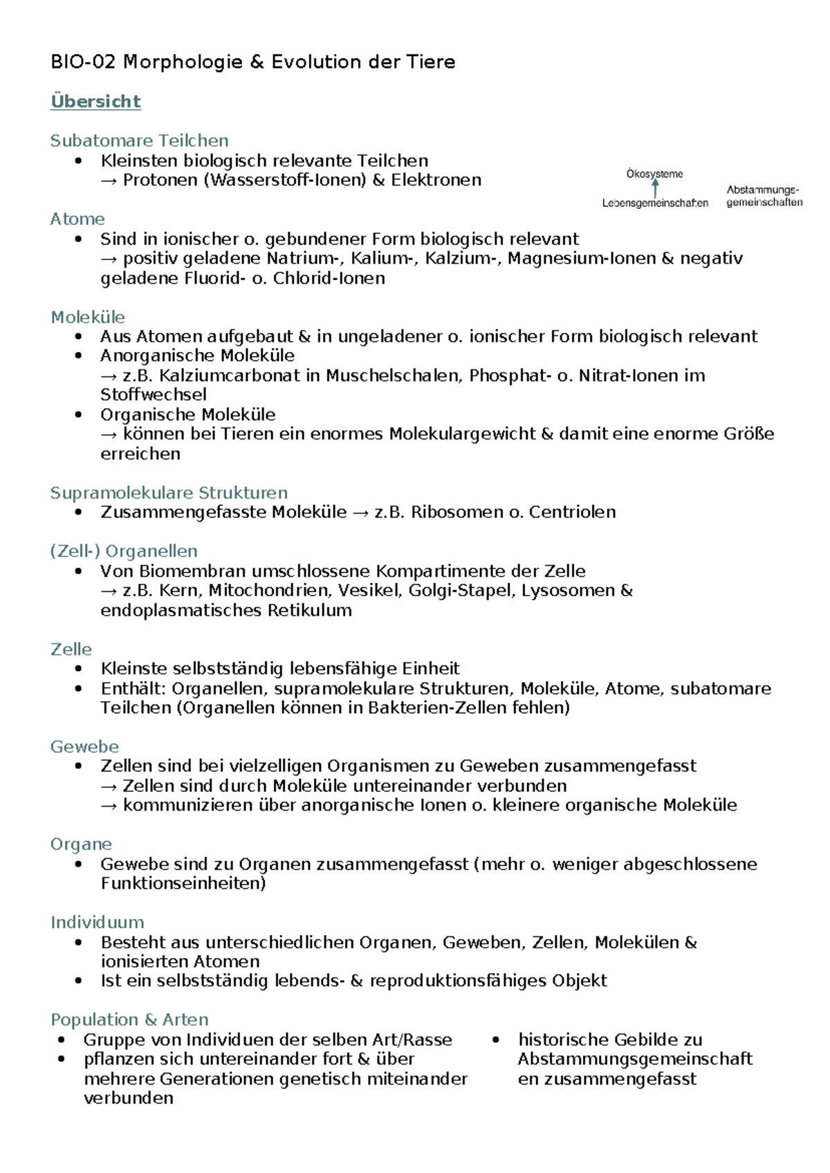 Evolution & Morphologie von Tieren Zusammenfassung - BIO-02 Morphologie ...