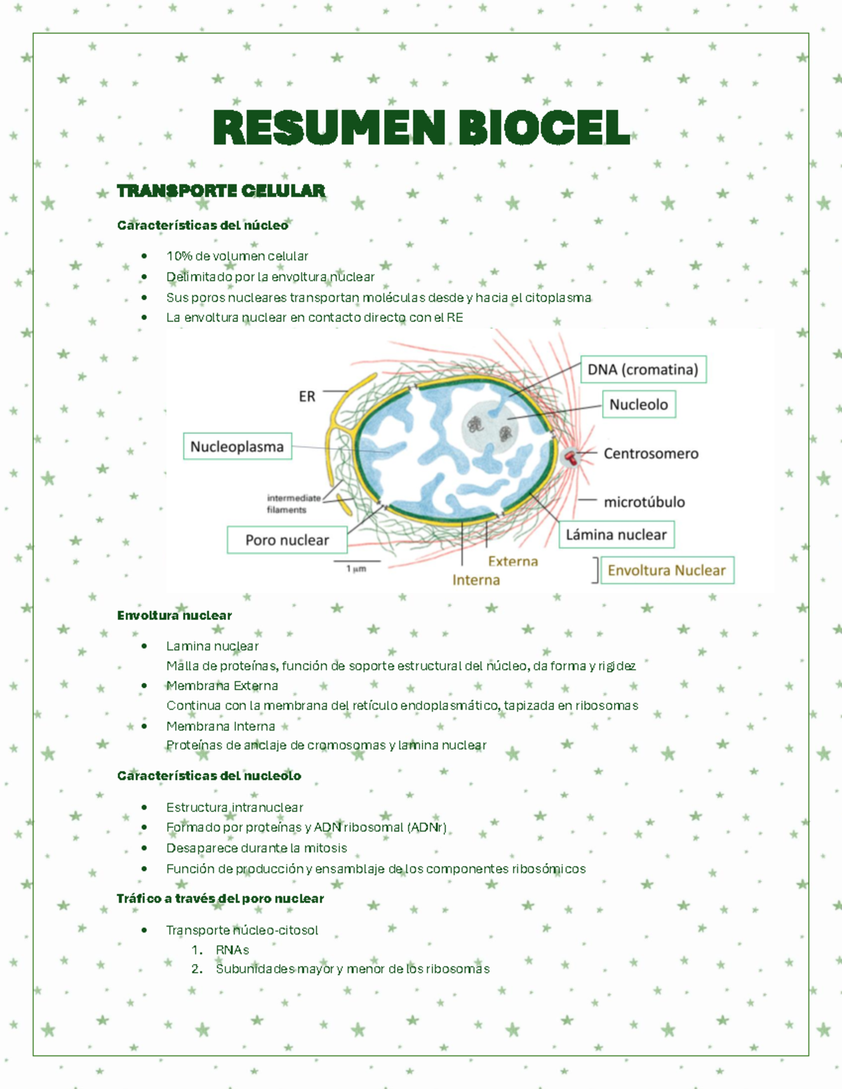 Solemne 3 - Es un resumen - RESUMEN BIOCEL TRANSPORTE CELULAR Características del núcleo - 10% ...
