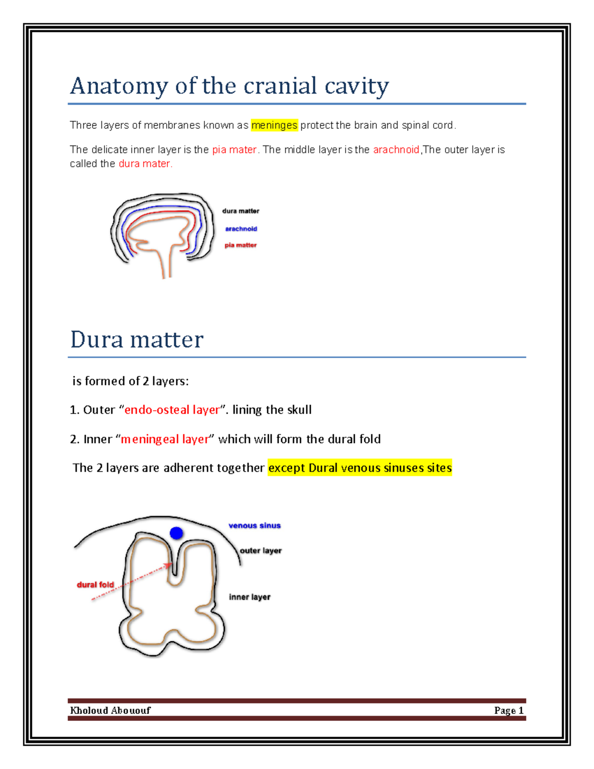 Anatomy of the cranial cavity - The delicate inner layer is the pia ...