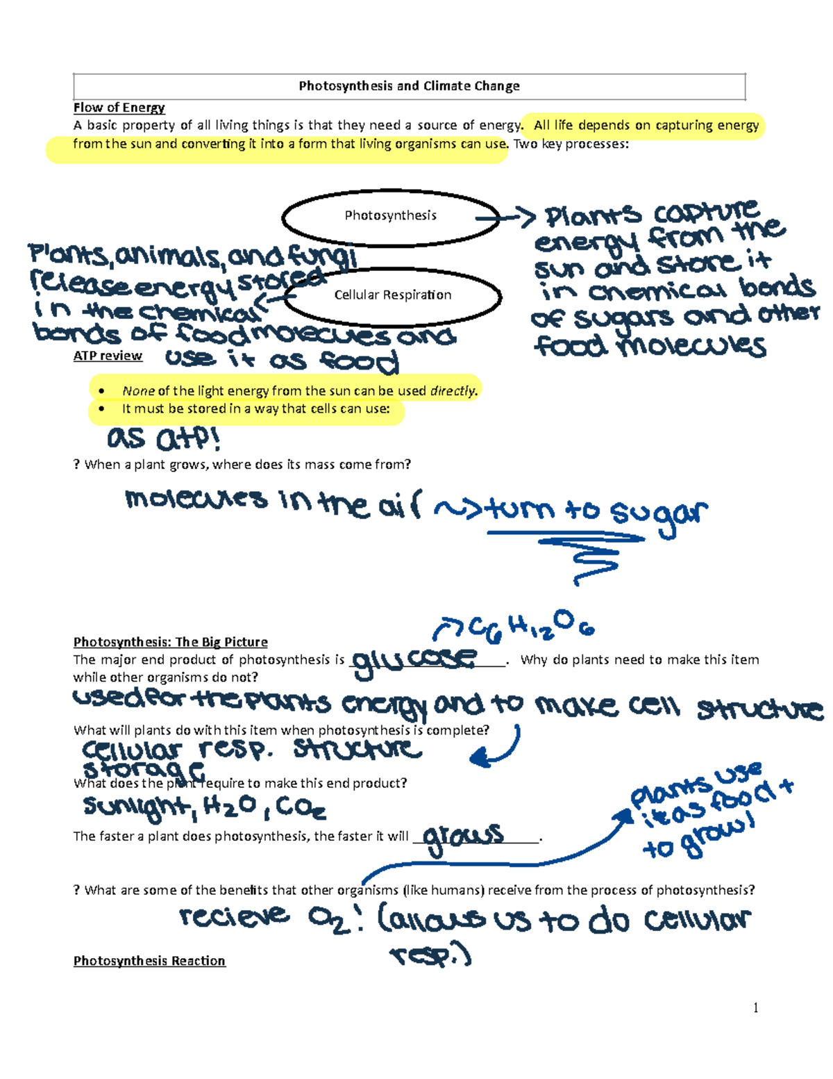 BIO 1110 photosynthesis and climate change module - Flow of Energy A ...