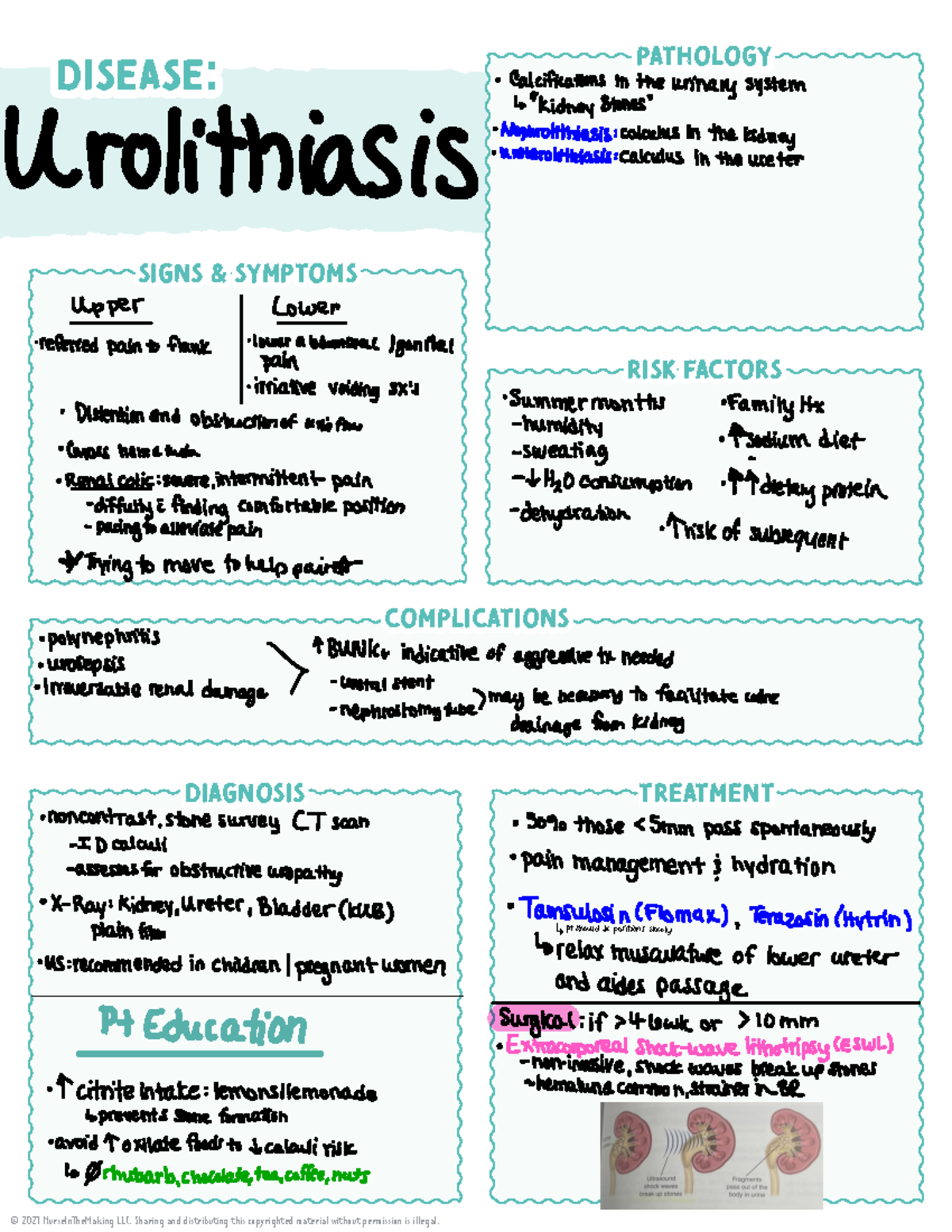 Adult Med-Surge 2 renal - RISK FRISK FACTORSACTORS SIGNSIGNS ...