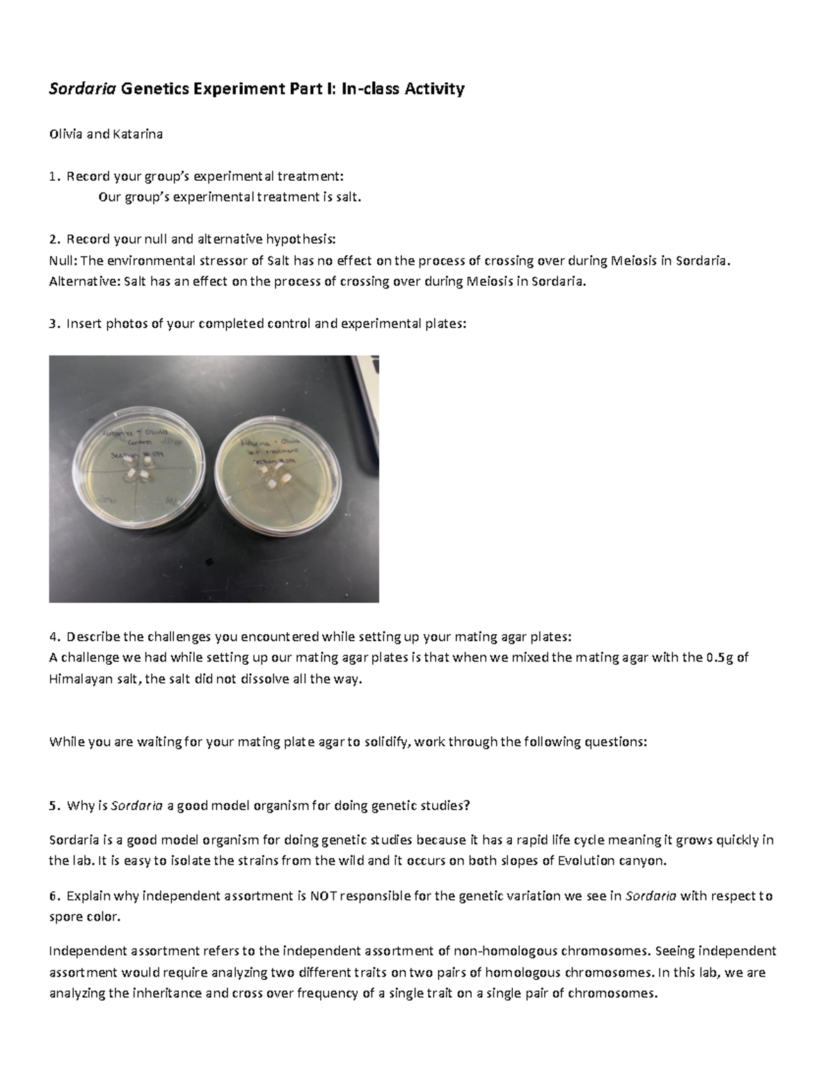 In Lab6 assignment - lab - Sordaria Genetics Experiment Part I: In ...