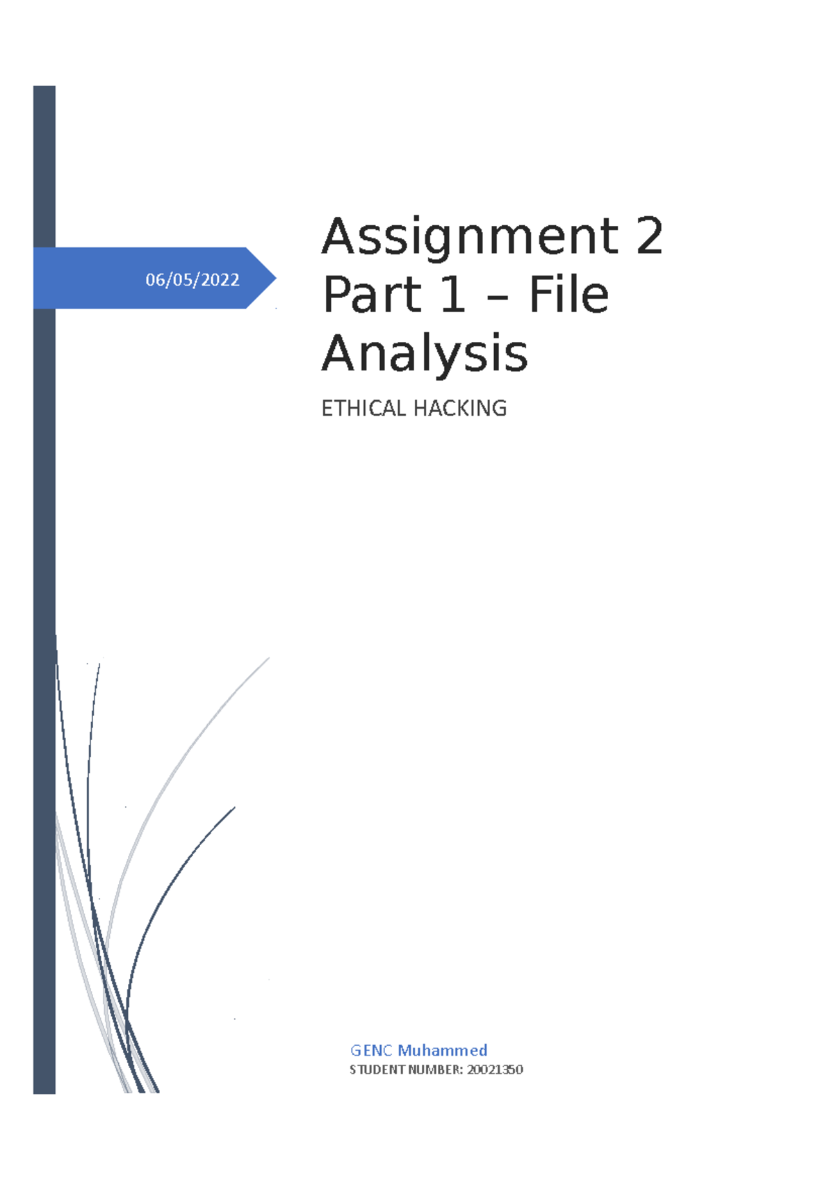 2002 1350 Assignment 2 - File Analysis (Ethical Hacking) - 06/05/ GENC Muhammed STUDENT NUMBER ...