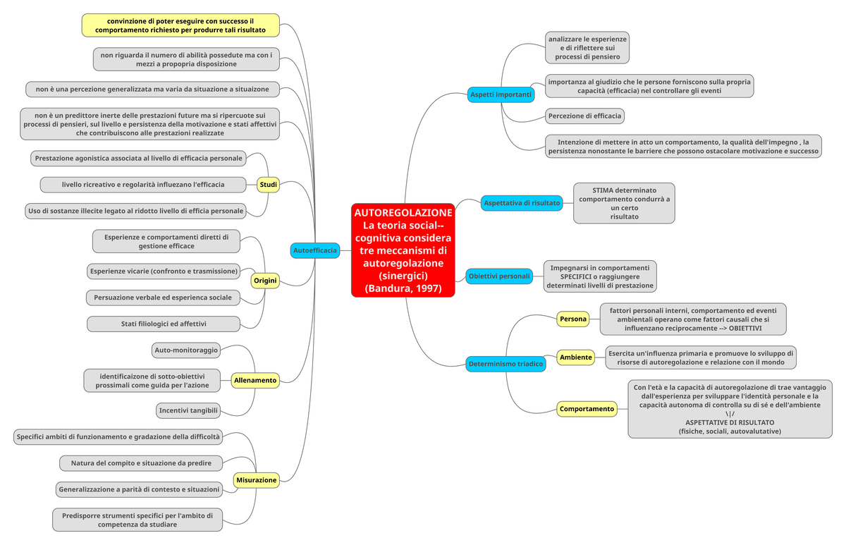 4. Mappa mentale - Autoregolazione 2 - AUTOREGOLAZIONE La teoria social-‐ cognitiva considera ...