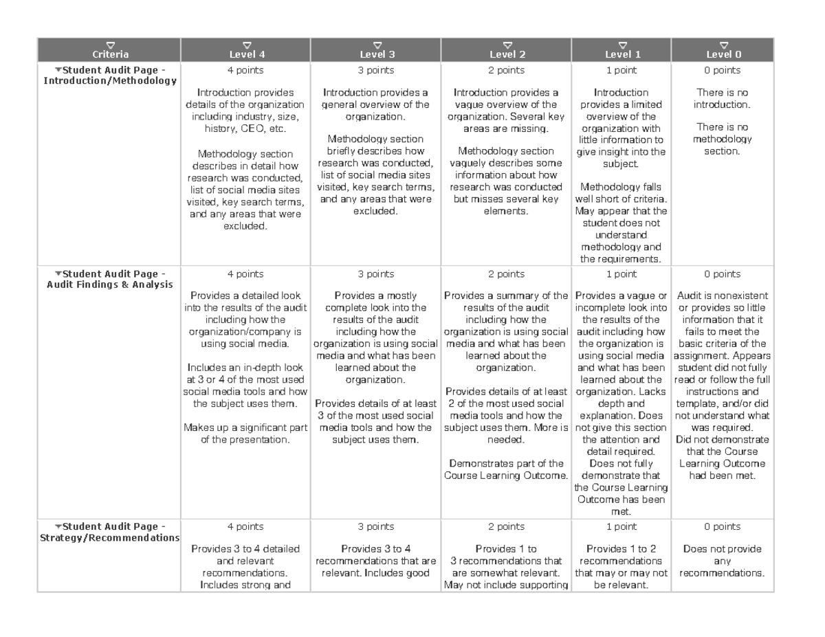Social Media Audit Rubric group presentation - Criteria Level 4 Level 3 ...