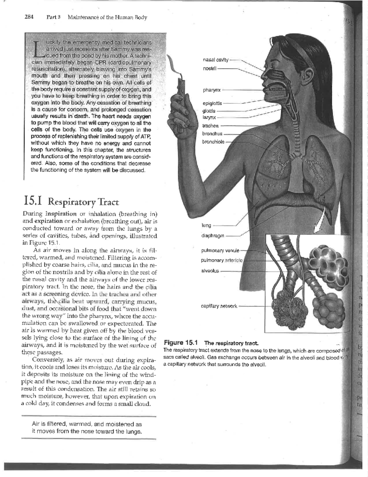 Respirationpics 2 - Respiration picture - NURS 3220 - Studocu