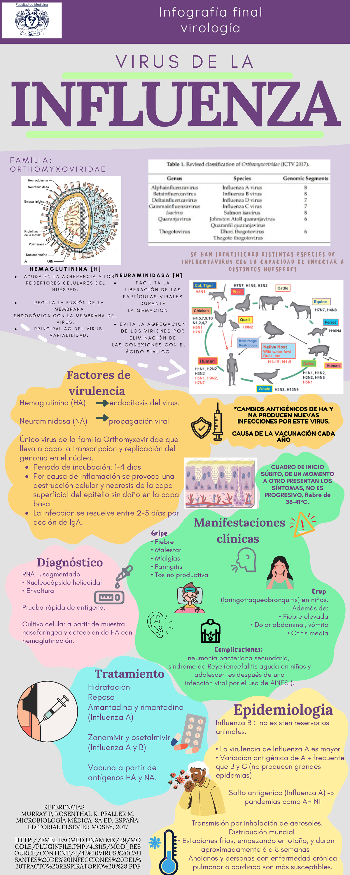 Infografía Virus DE LA - V I R U S D E L A INFLUENZA Periodo de ...