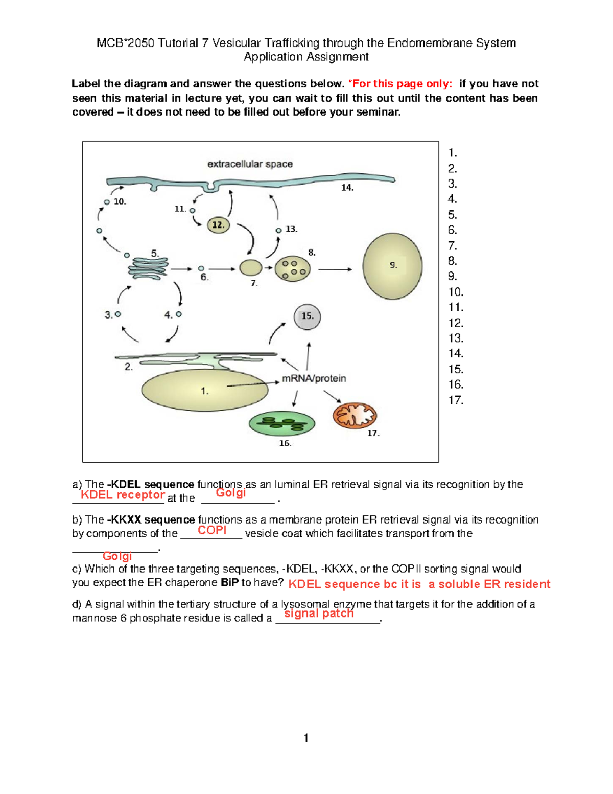 Vesicular Trafficking Seminar 7 - Application Assignment Label the ...
