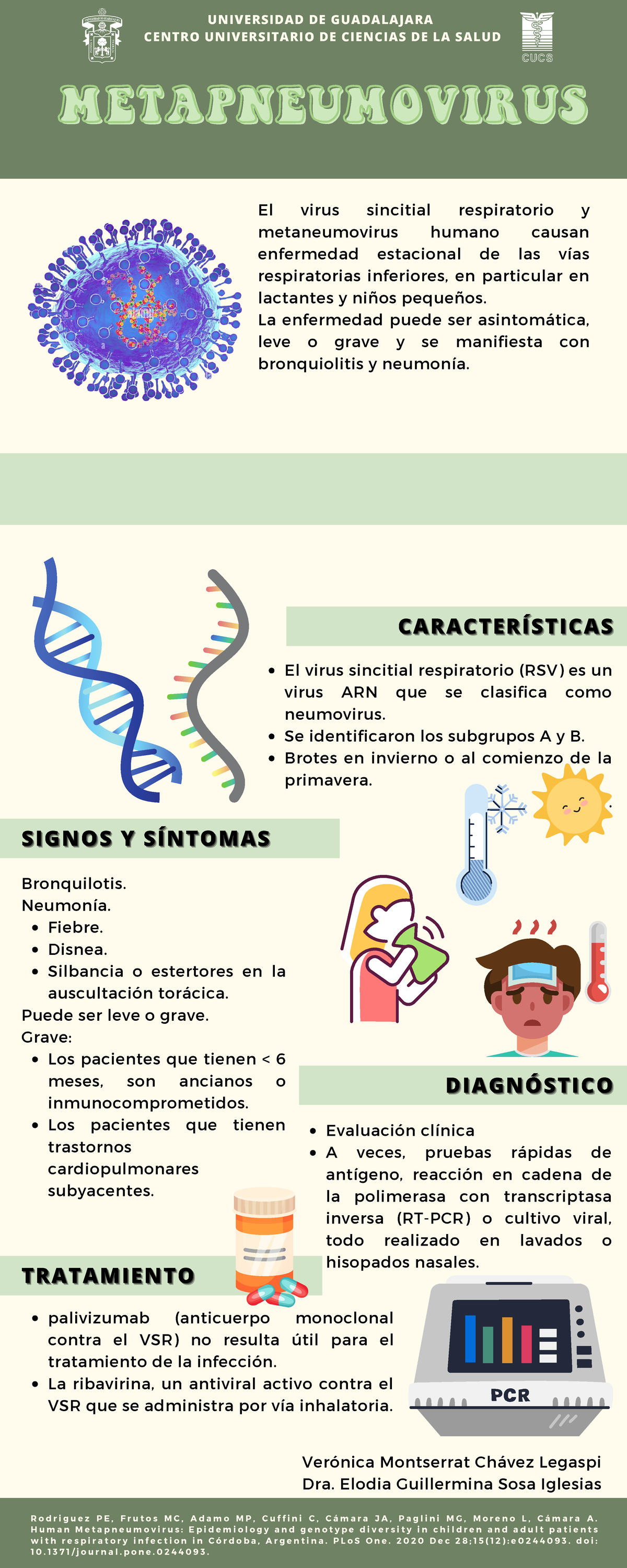 VMCL Metapneumovirus - CARACTERÍSTICASCARACTERÍSTICASCARACTERÍSTICAS ...