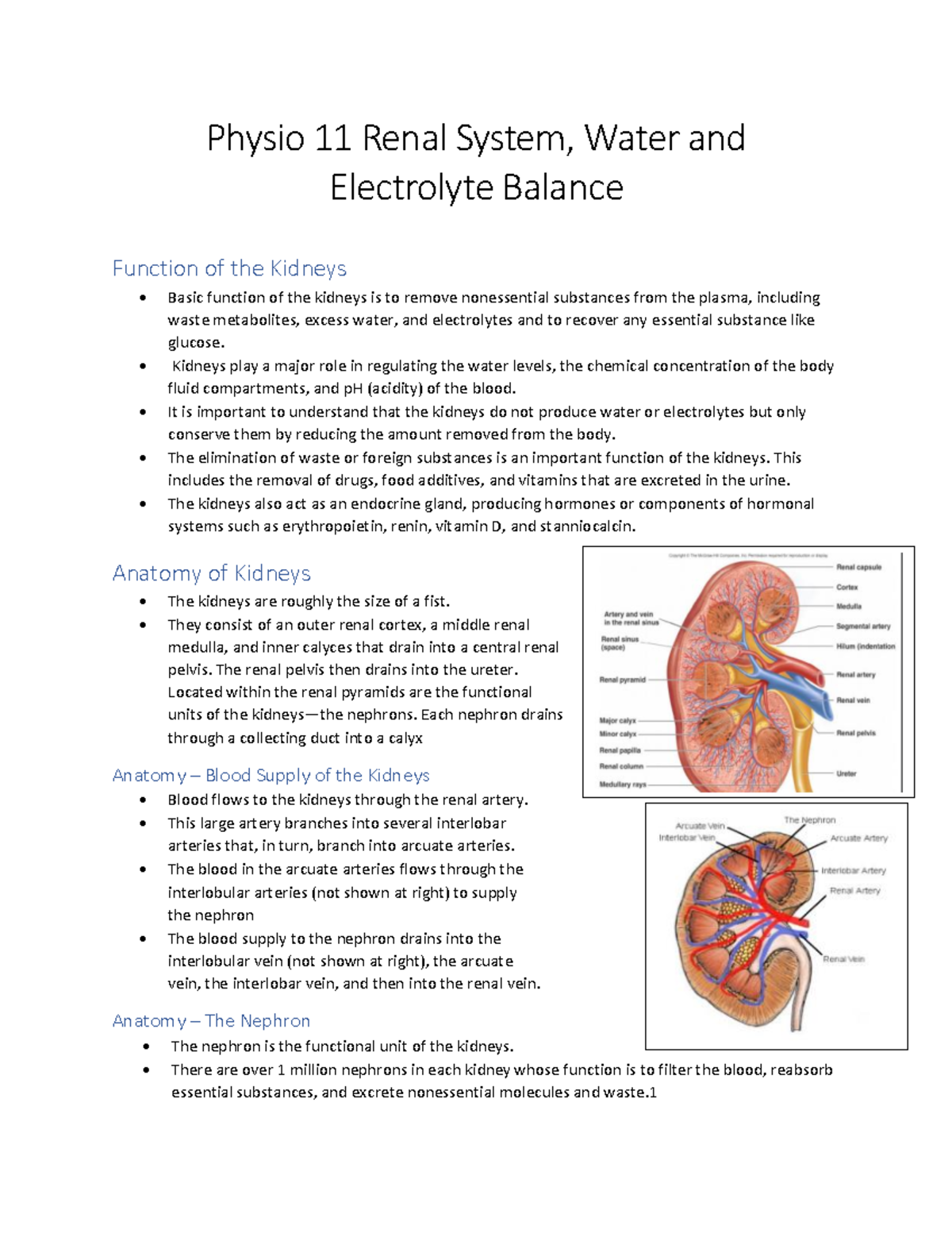 Physio 11 - Physio 11 Renal System, Water and Electrolyte Balance ...