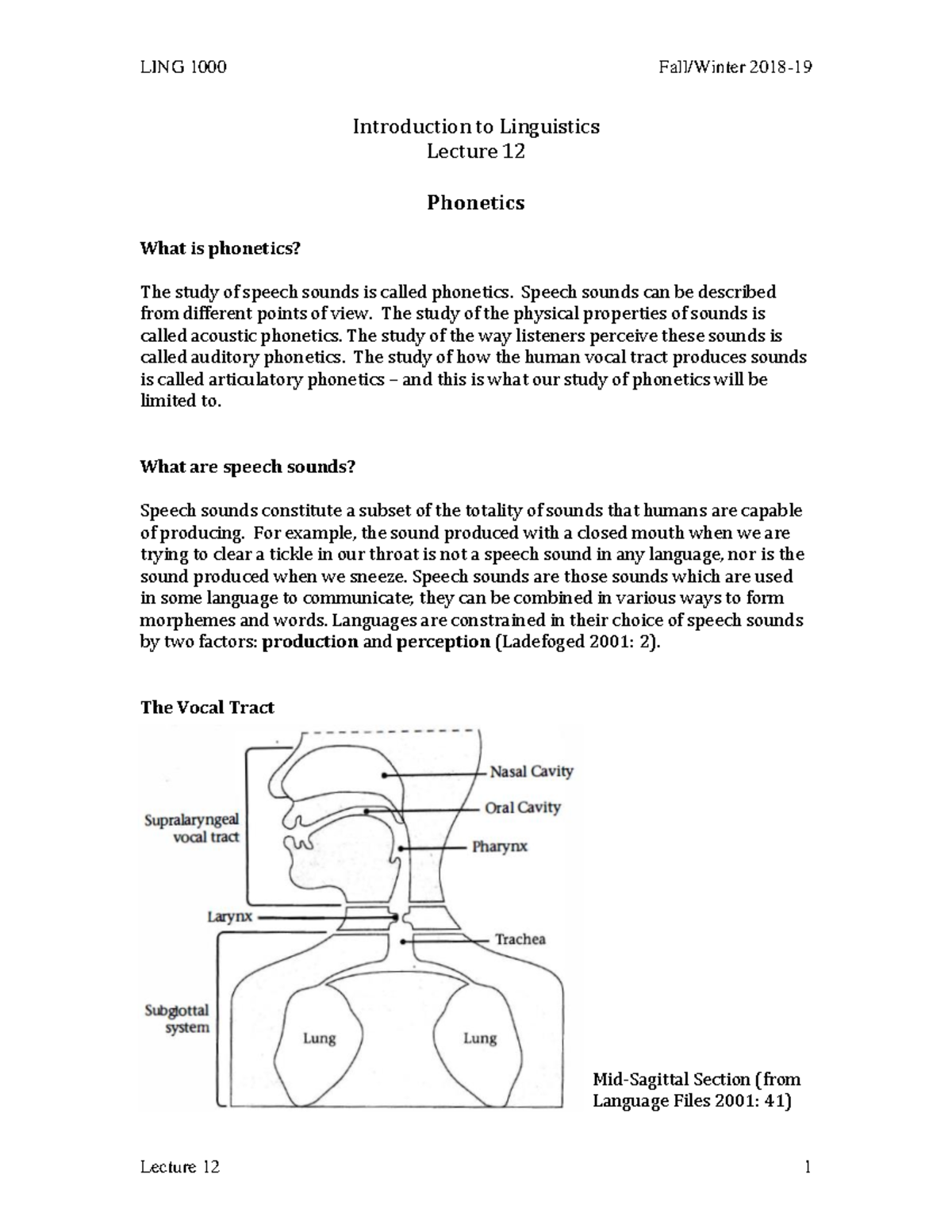 LING 1000 Lecture 12 Handout - LING 1000 Fall/Winter 2018-19 Introduction to Linguistics Lecture ...