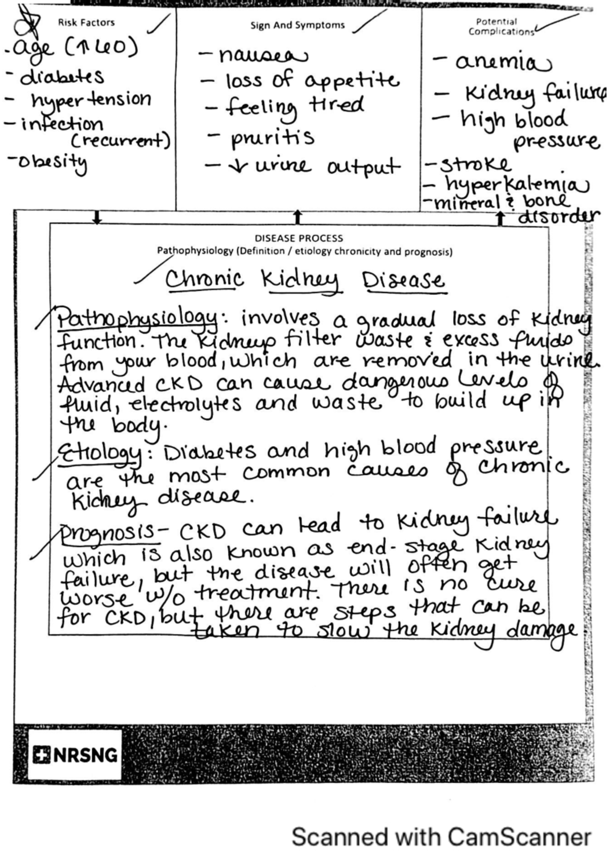 CKD Concept Map - Assignments - Risk Factors Sign And Symptoms ...