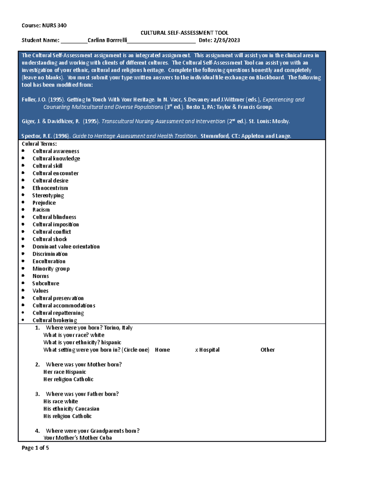 NURS 340 - Cultural Self-Assessment Tool - CULTURAL SELF-ASSESSMENT ...