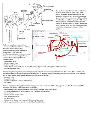 7 - Maxillary Vestibular Approach - 7 Maxillary Vestibular Approach T ...