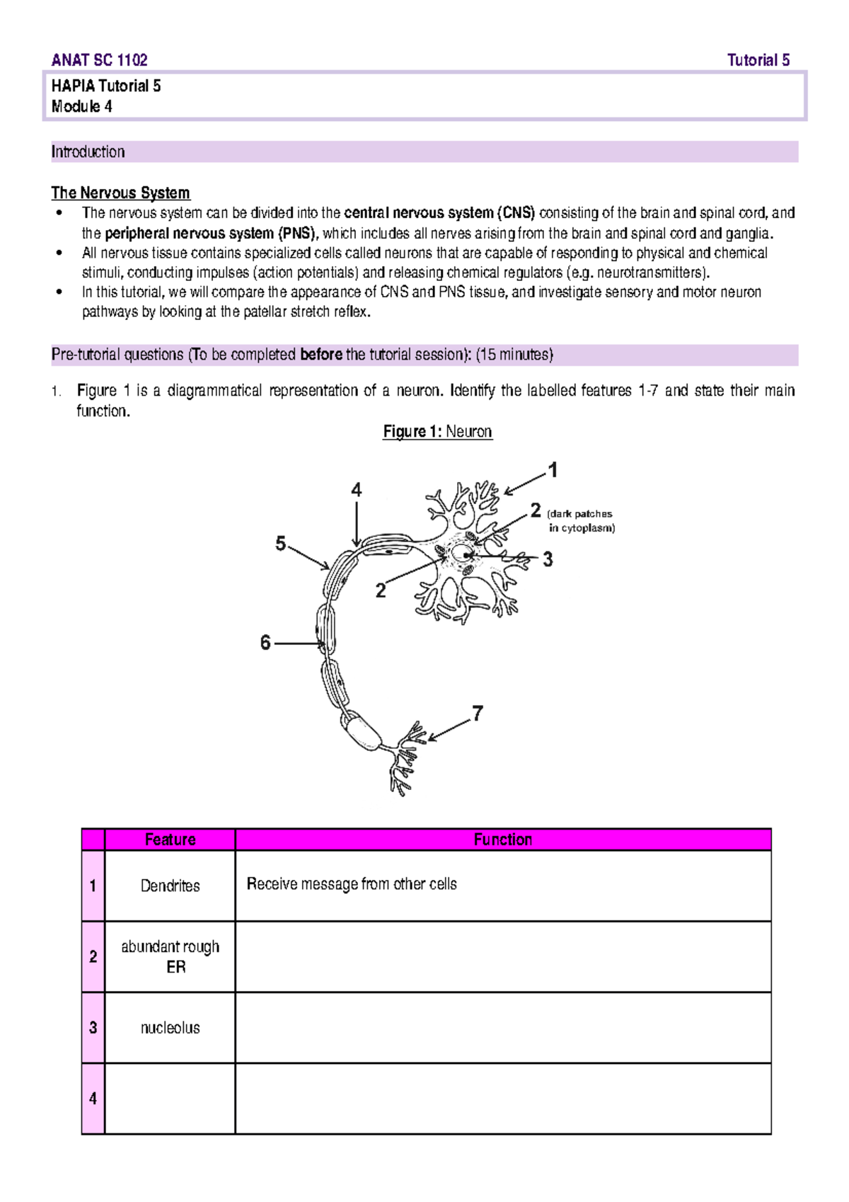 Hapia Tutorial 5 - Student Notes - HAPIA Tutorial 5 Module 4 ...