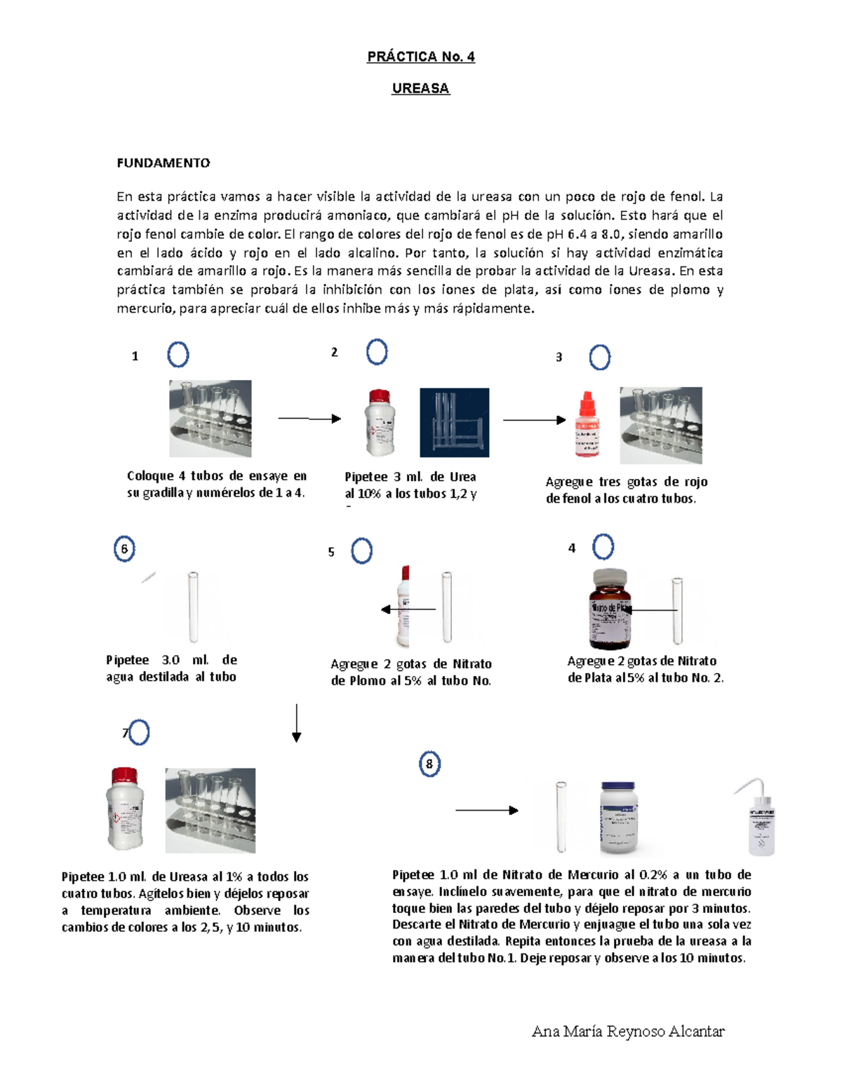 Diagrama 4-Ureasa - PRÁCTICA No. 4 UREASA FUNDAMENTO En esta práctica ...