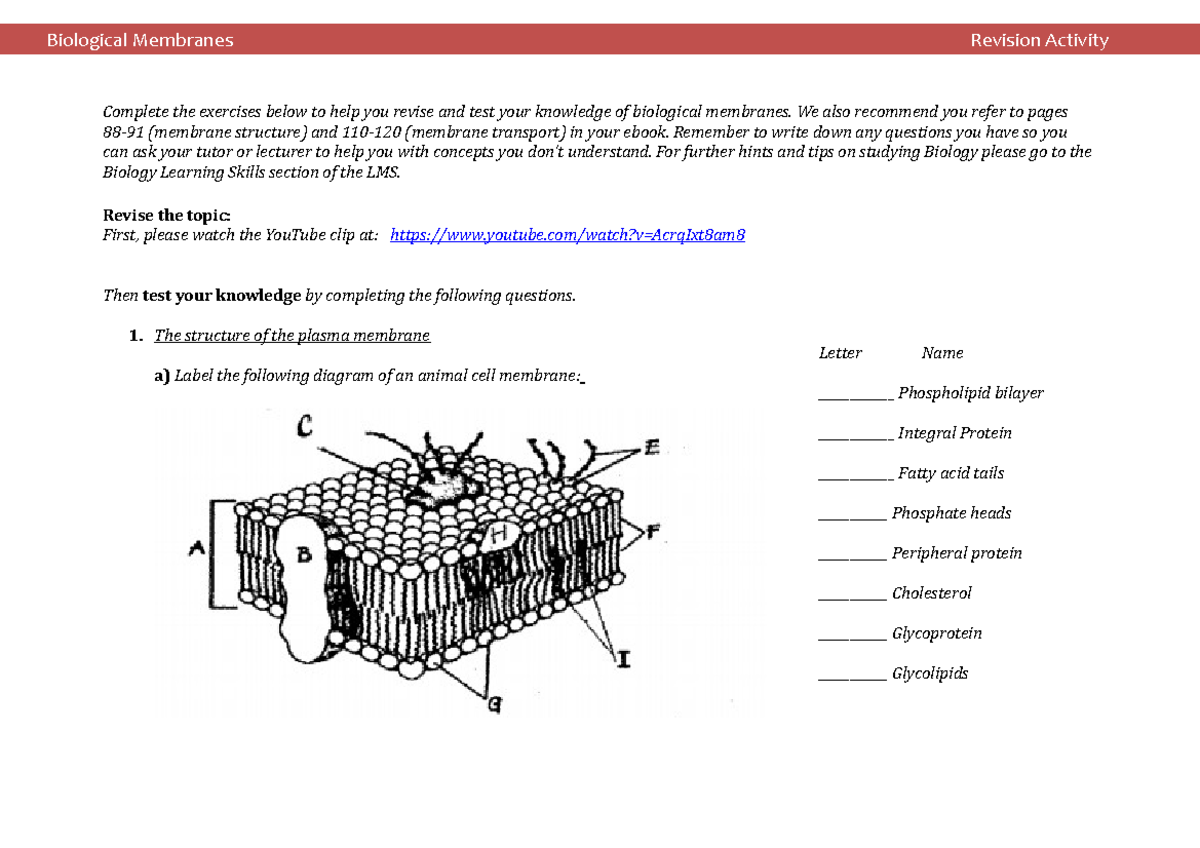 Biological-membranes-worksheet - Biological Membranes Revision Activity ...