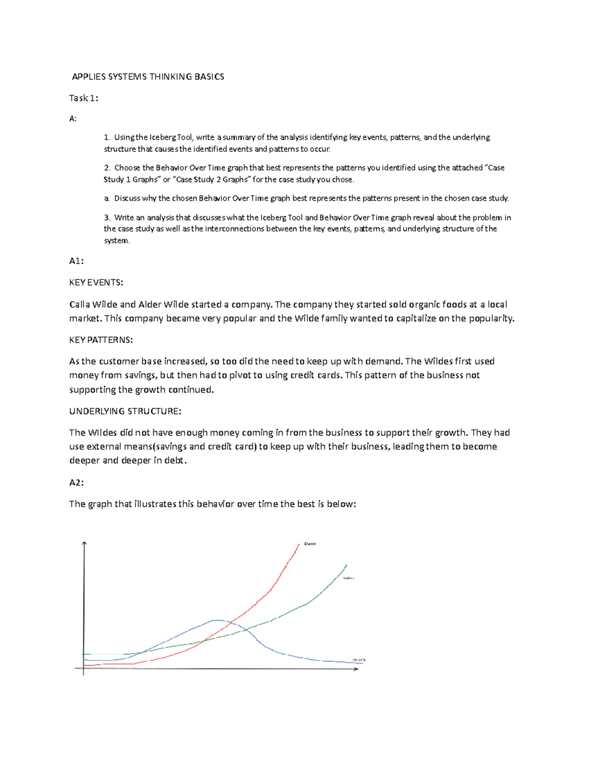 D372 Task 1 Revision - w4t - APPLIES SYSTEMS THINKING BASICS Task 1: A ...