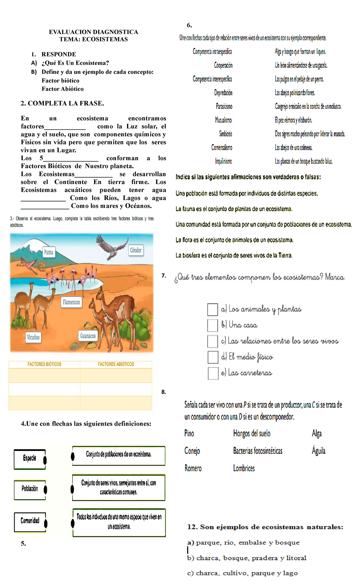 ecosistema diagnostico inicial - EVALUACION DIAGNOSTICA TEMA: ECOSISTEMAS RESPONDE A) ¿Qué Es Un ...