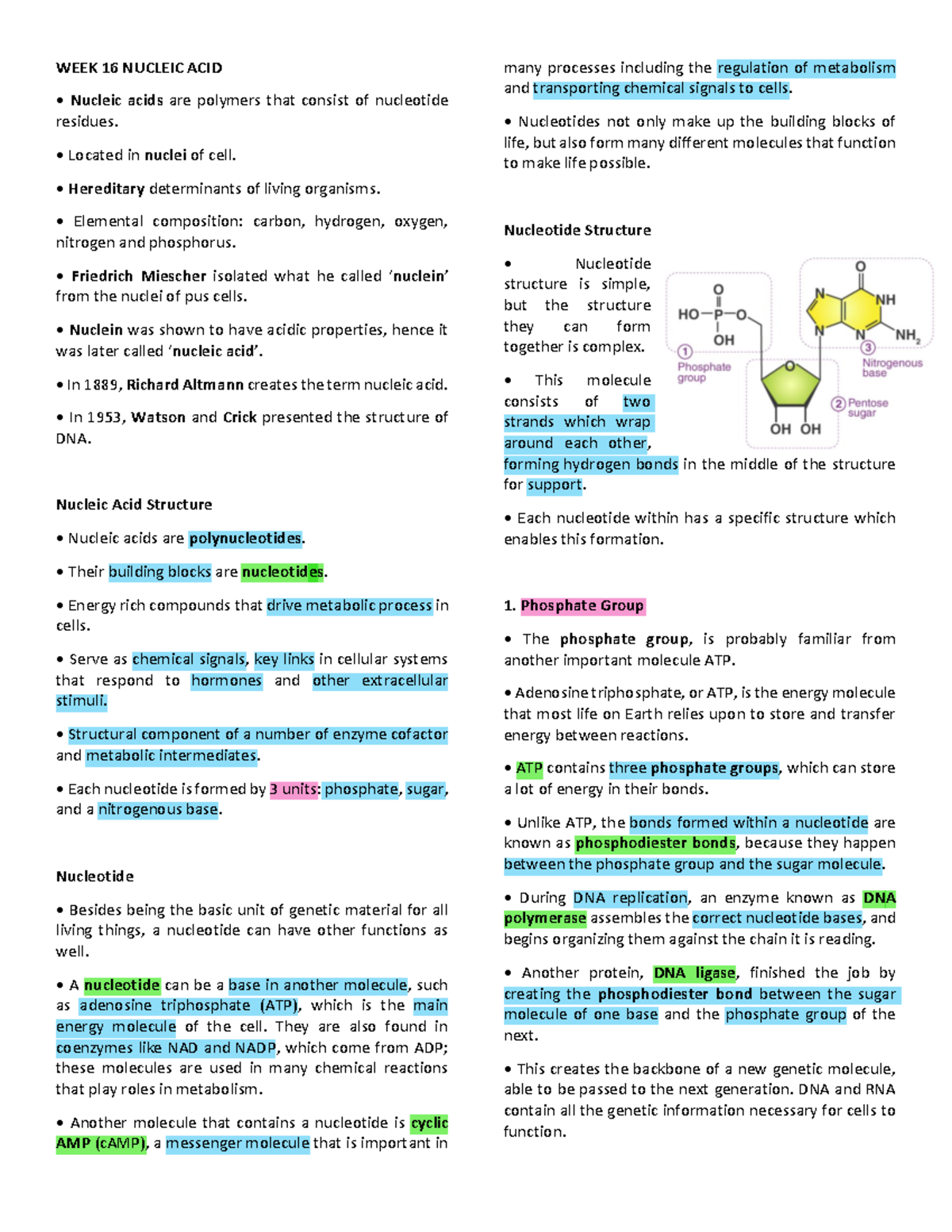 MOLECULAR BIOLOGY - NUCLEIC ACID - WEEK 16 NUCLEIC ACID Nucleic acids ...