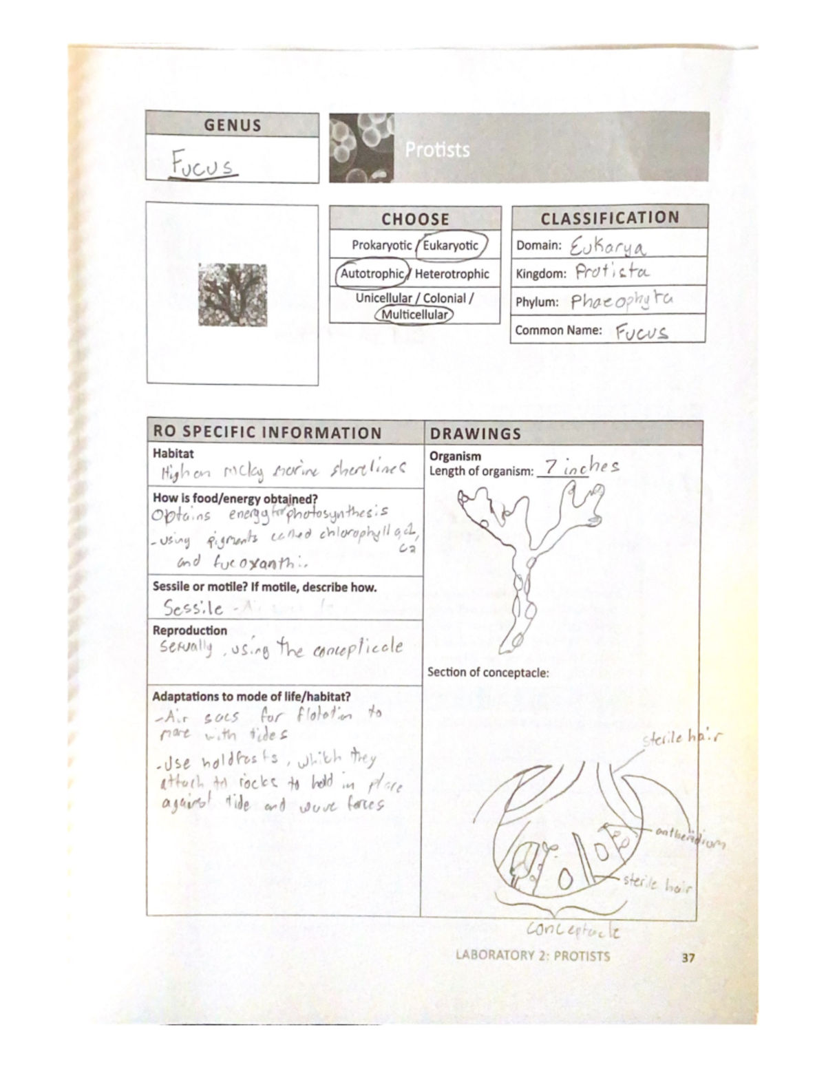 RO Sheet Lab 2 - practice - CHEM 105 - StuDocu