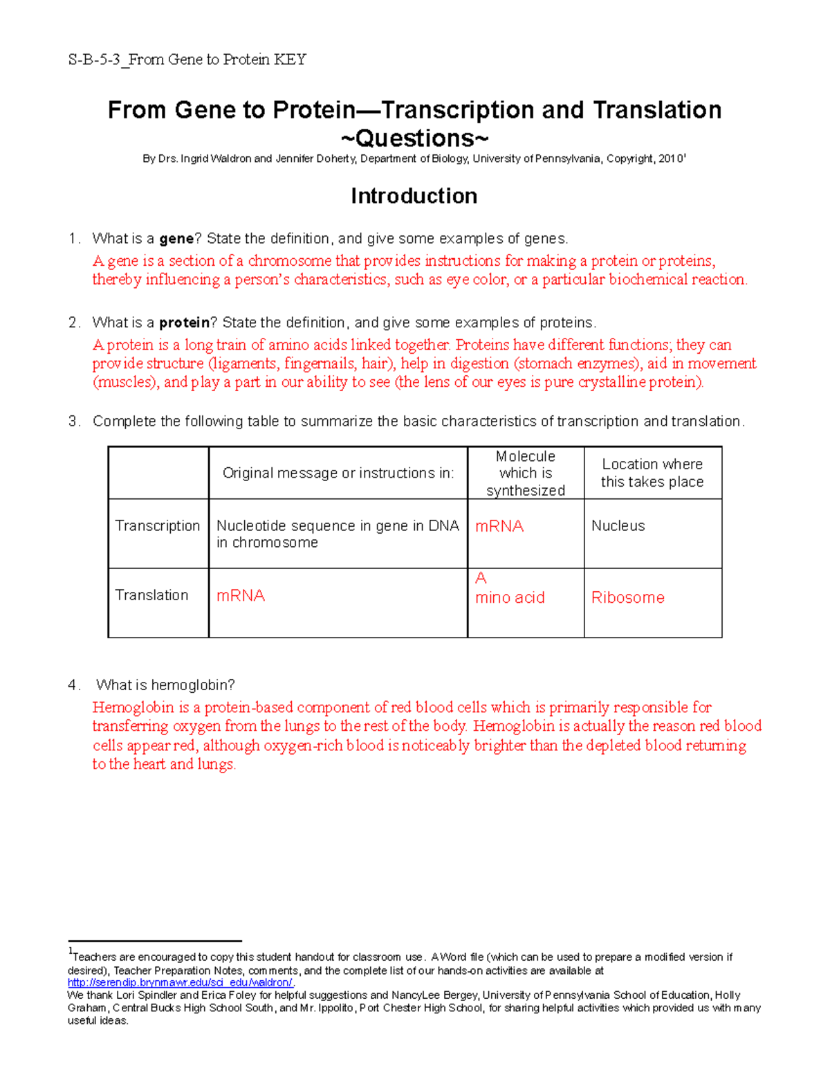 S-B-5-3 From Gene to Protein KEY - From Gene to Protein—Transcription ...