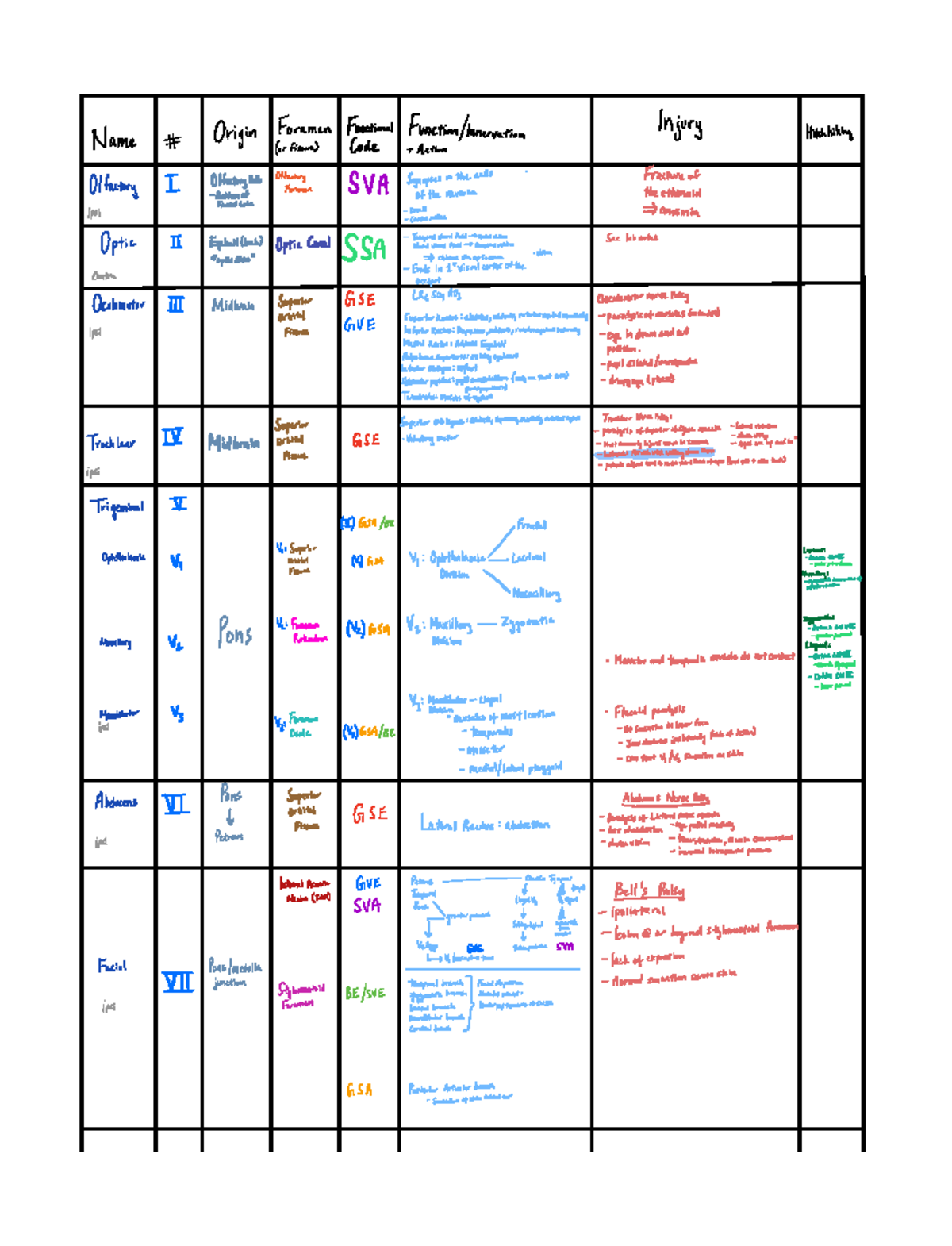Cranial Nerves Chart - Notes - Name Origin Foramen Functional ...